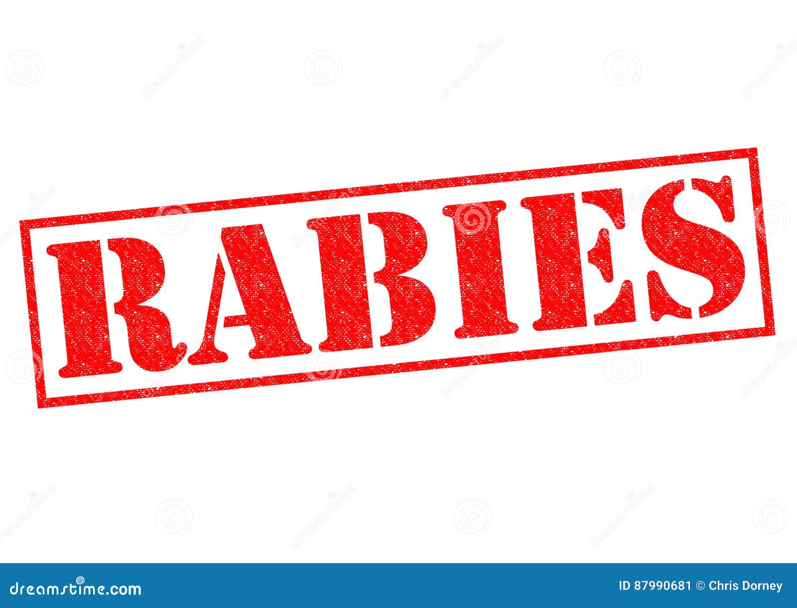 Warning Rabies Traffic Sign Stock Image | CartoonDealer.com #208538197