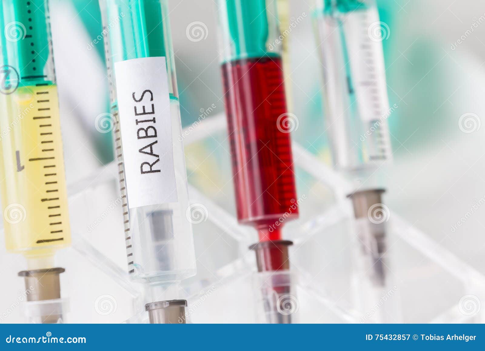 Rabies Treatment. Very Dangerous Illness Treatment Concept, Clos Stock ...