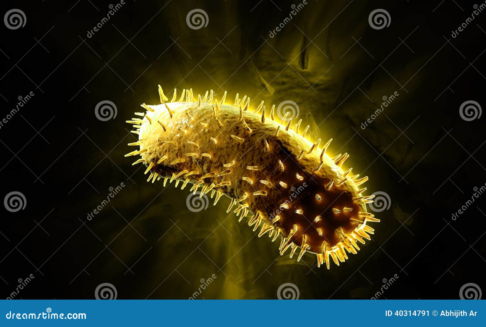 Rabies Virus Cell Vector Cartoon Colorless | CartoonDealer.com #174139637