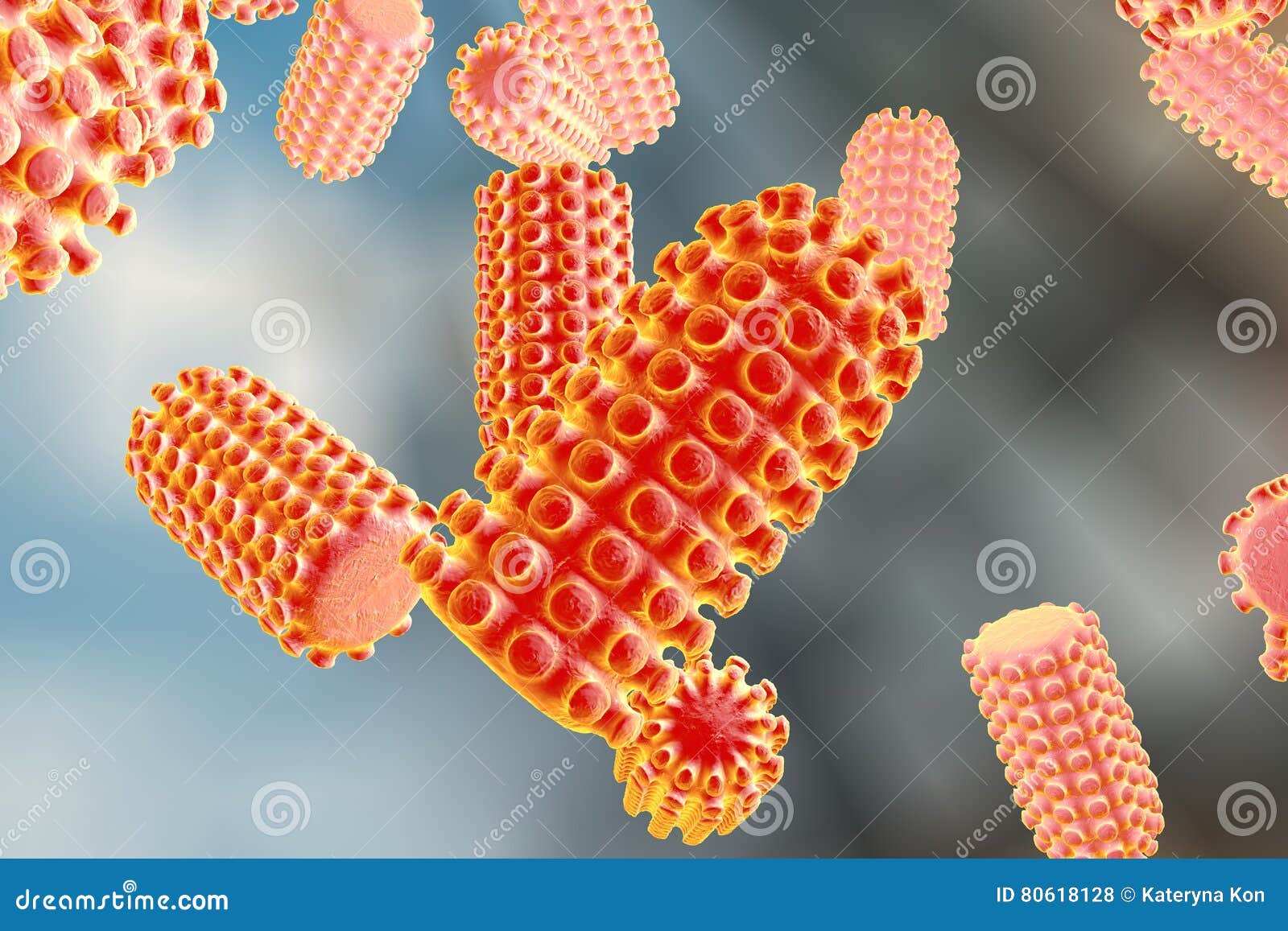 Rabies virus illustration stock illustration. Illustration of neuron ...