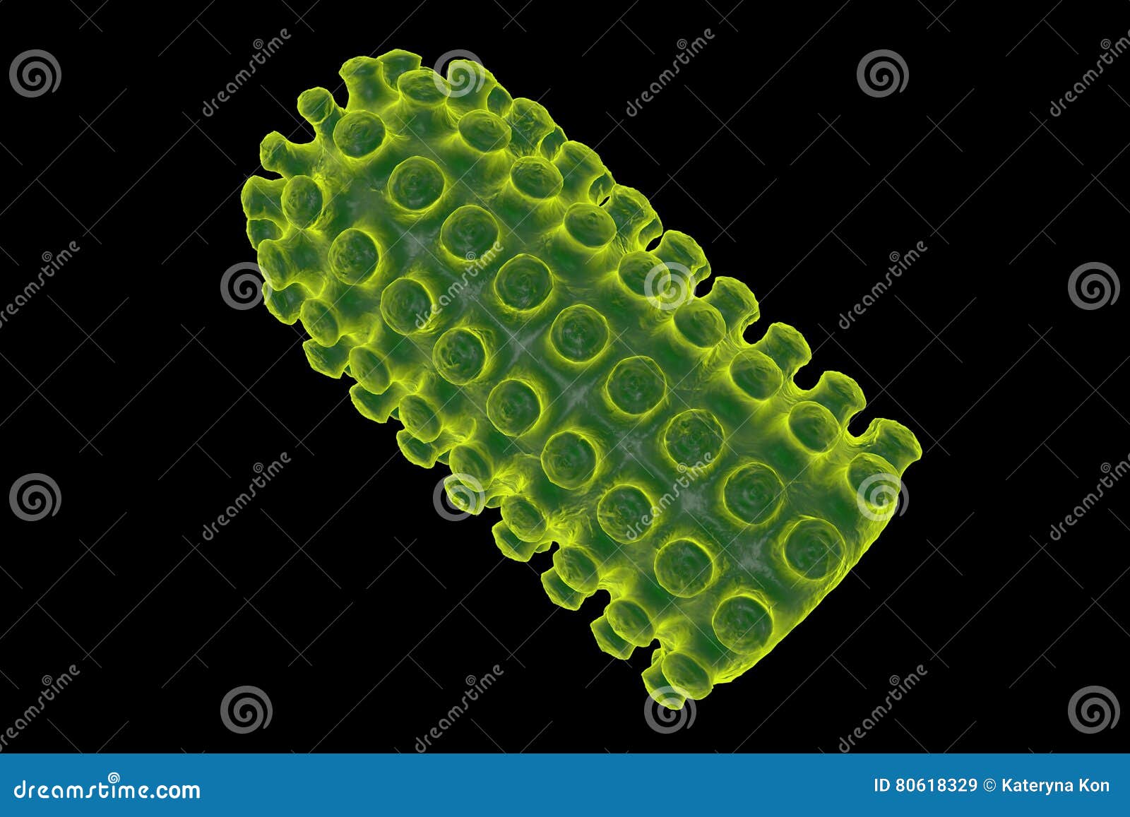 Rabies Virus Cell Vector Cartoon Colorless | CartoonDealer.com #174139637