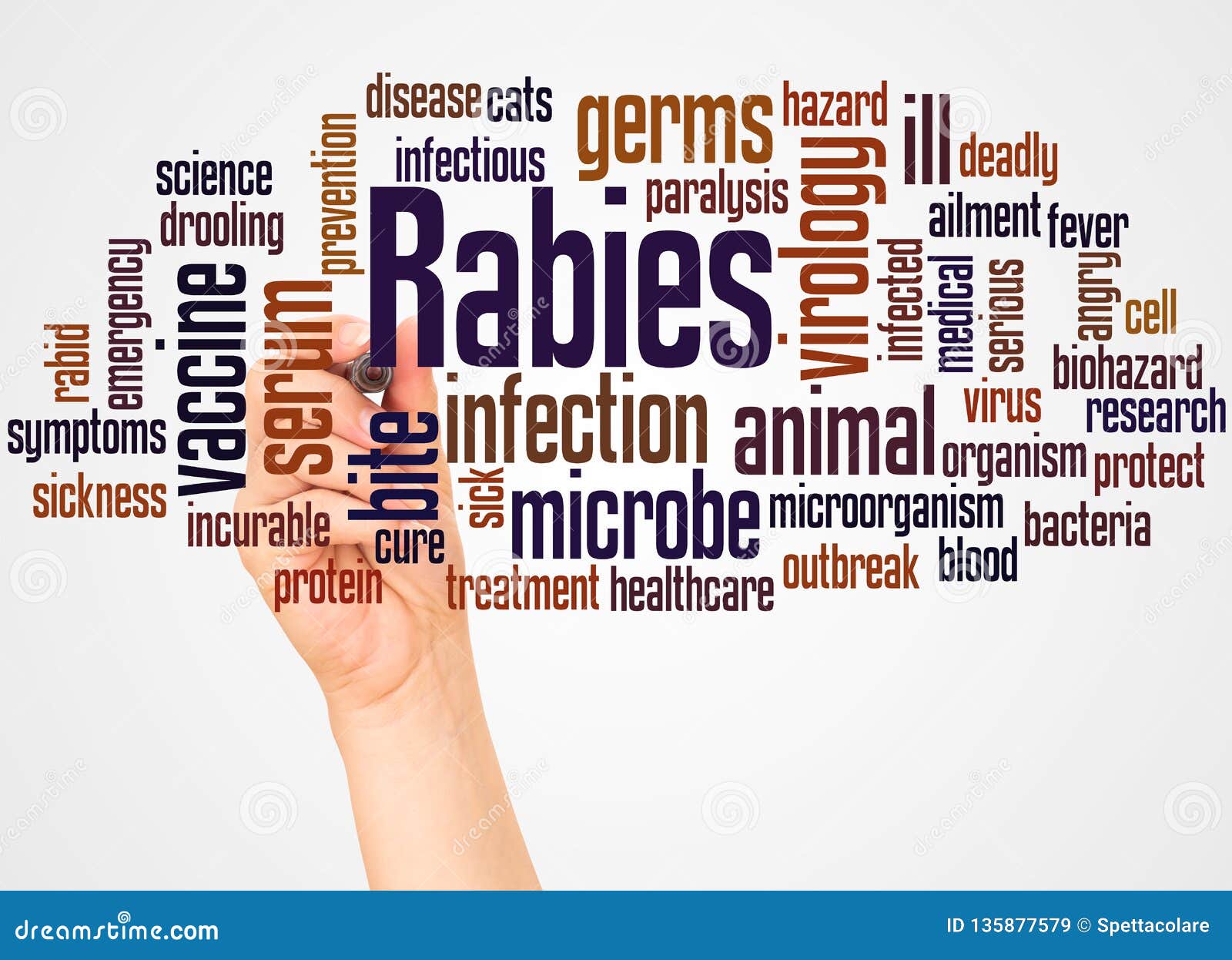 Rabies Word Cloud and Hand with Marker Concept Stock Image - Image of ...