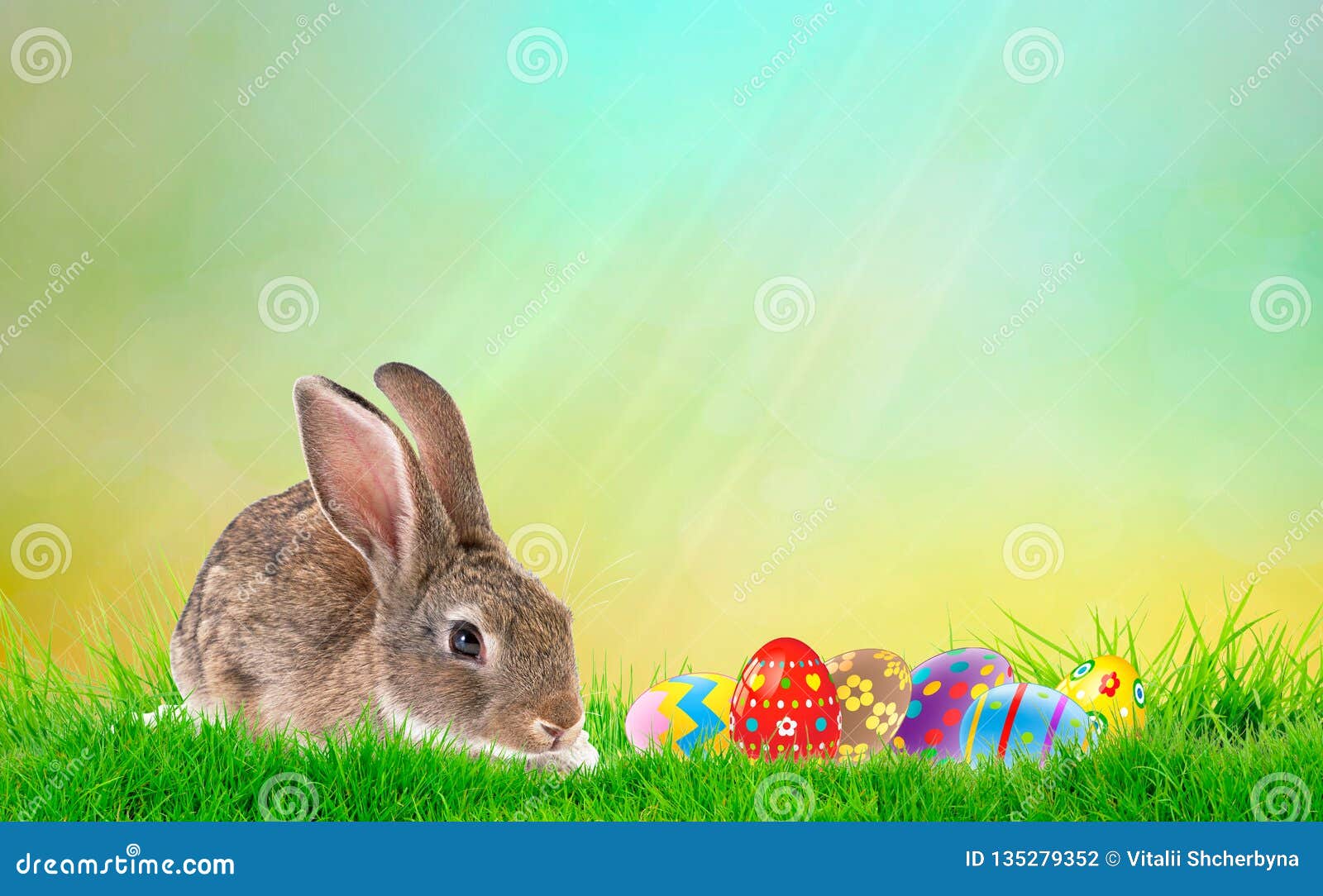 Rabit with Eggs in the Blanket in the Field for Easter Stock Photo ...