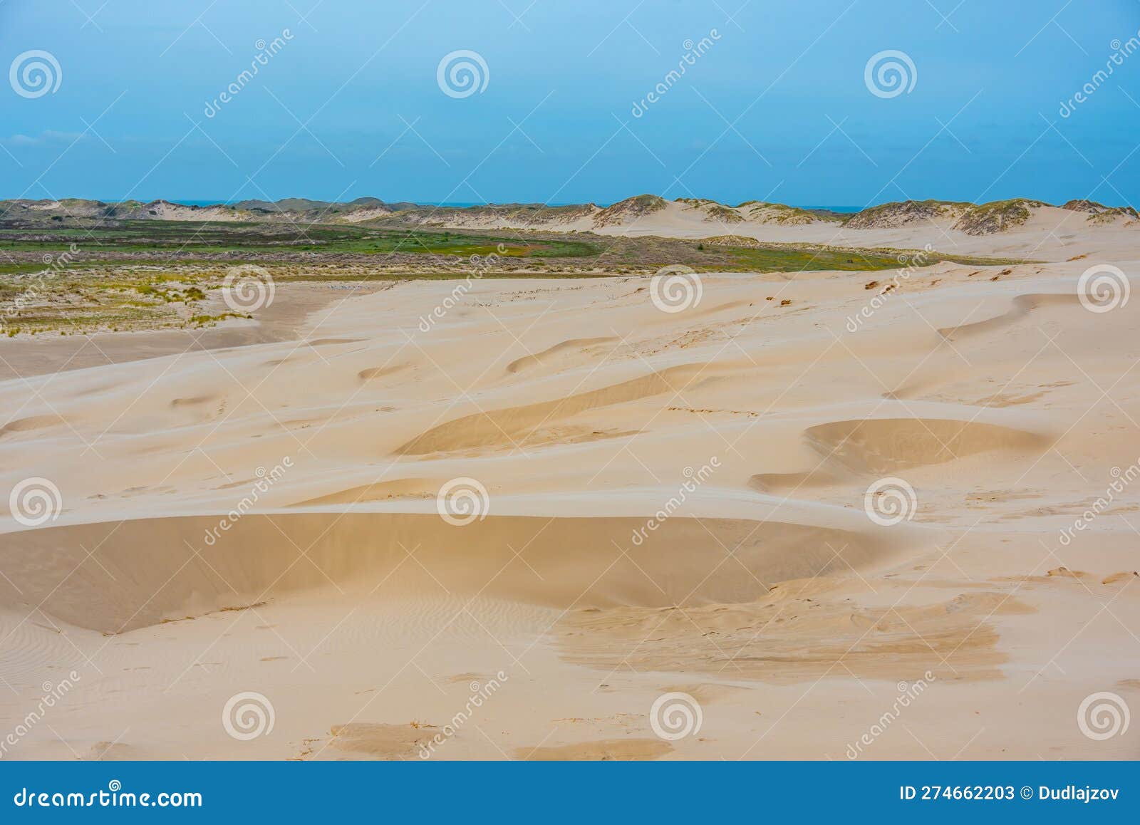R??bjerg Mile Sand Dunes in Denmark Stock Image - Image of dunes ...