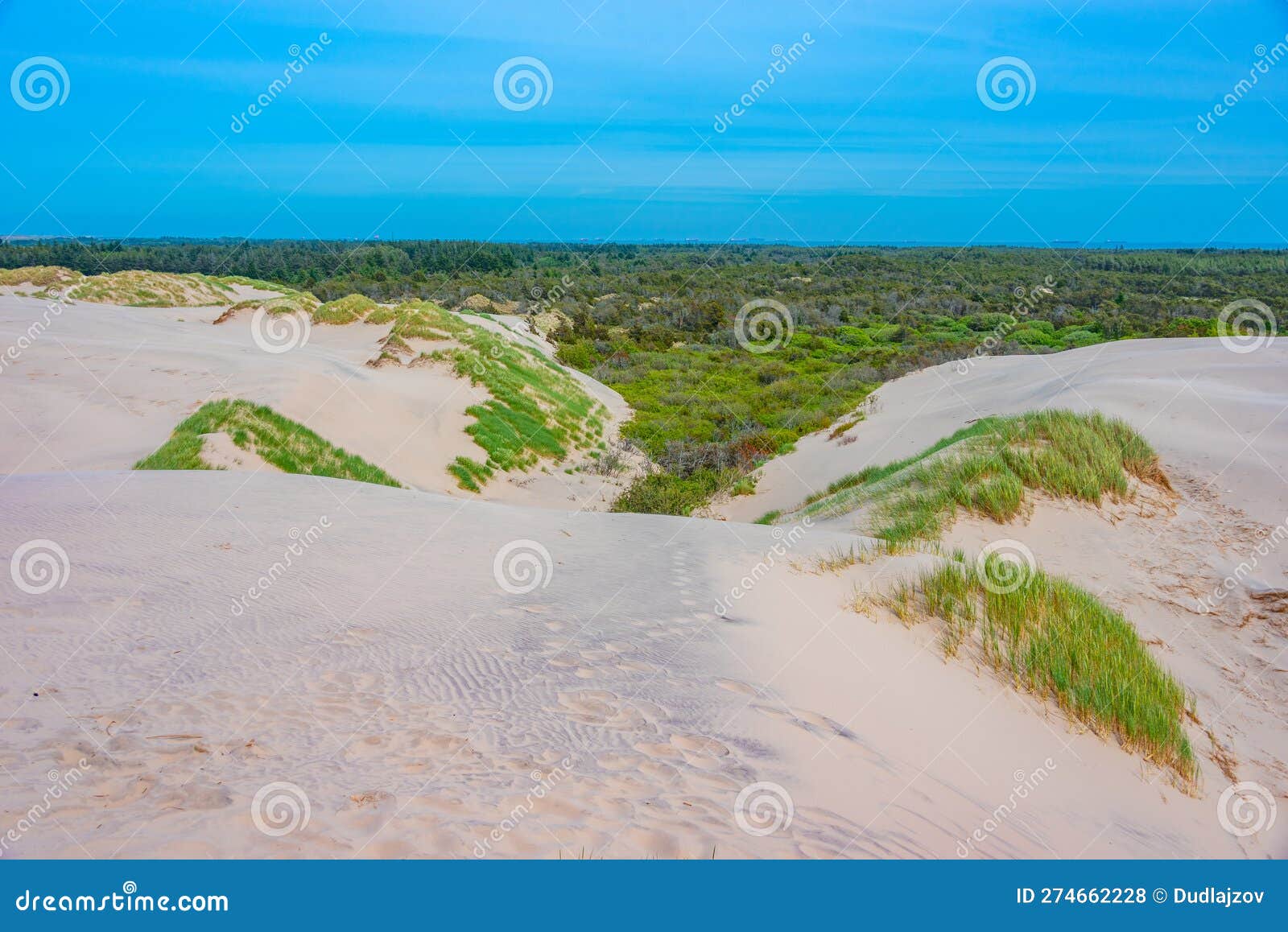 R??bjerg Mile Sand Dunes in Denmark Stock Photo - Image of skagen ...