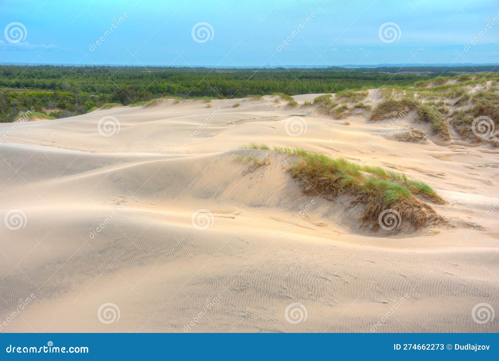R??bjerg Mile Sand Dunes in Denmark Stock Image - Image of ripples ...