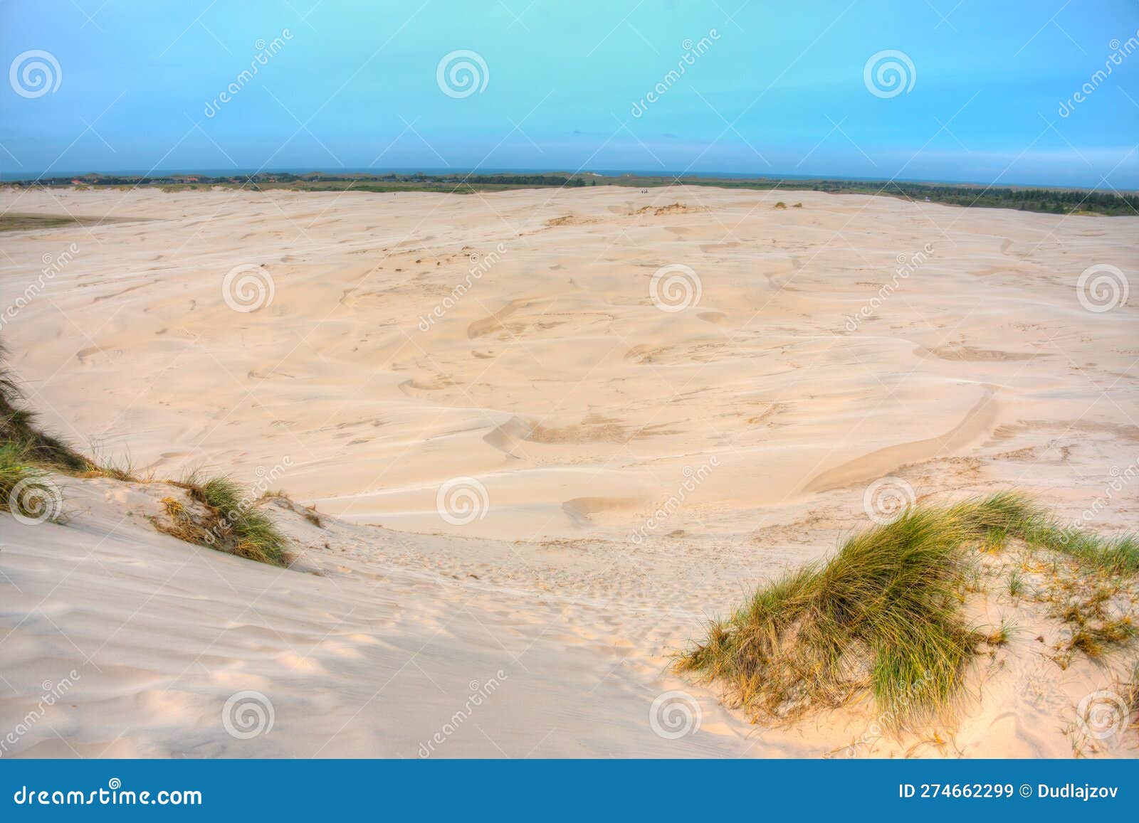 R??bjerg Mile Sand Dunes in Denmark Stock Image - Image of formation ...