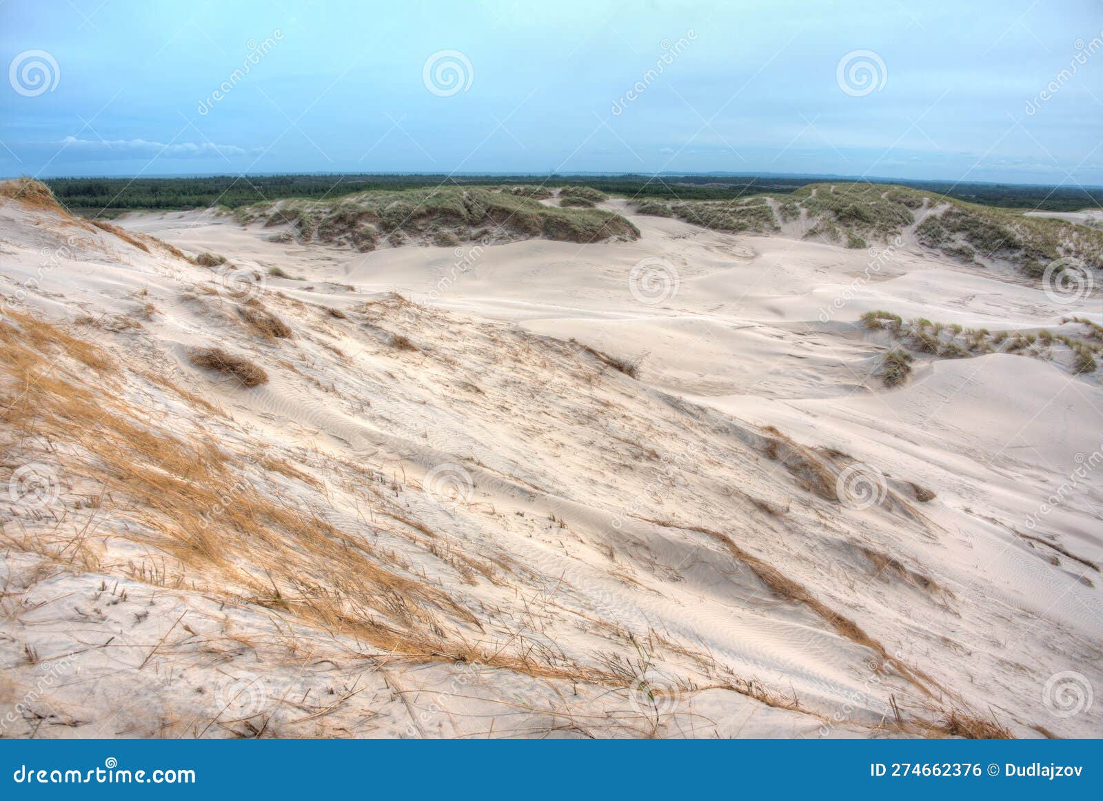 R??bjerg Mile Sand Dunes in Denmark Stock Photo - Image of travel ...