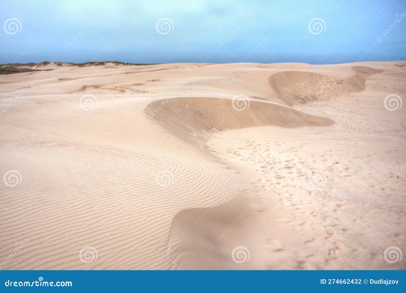 R??bjerg Mile Sand Dunes in Denmark Stock Photo - Image of nature ...