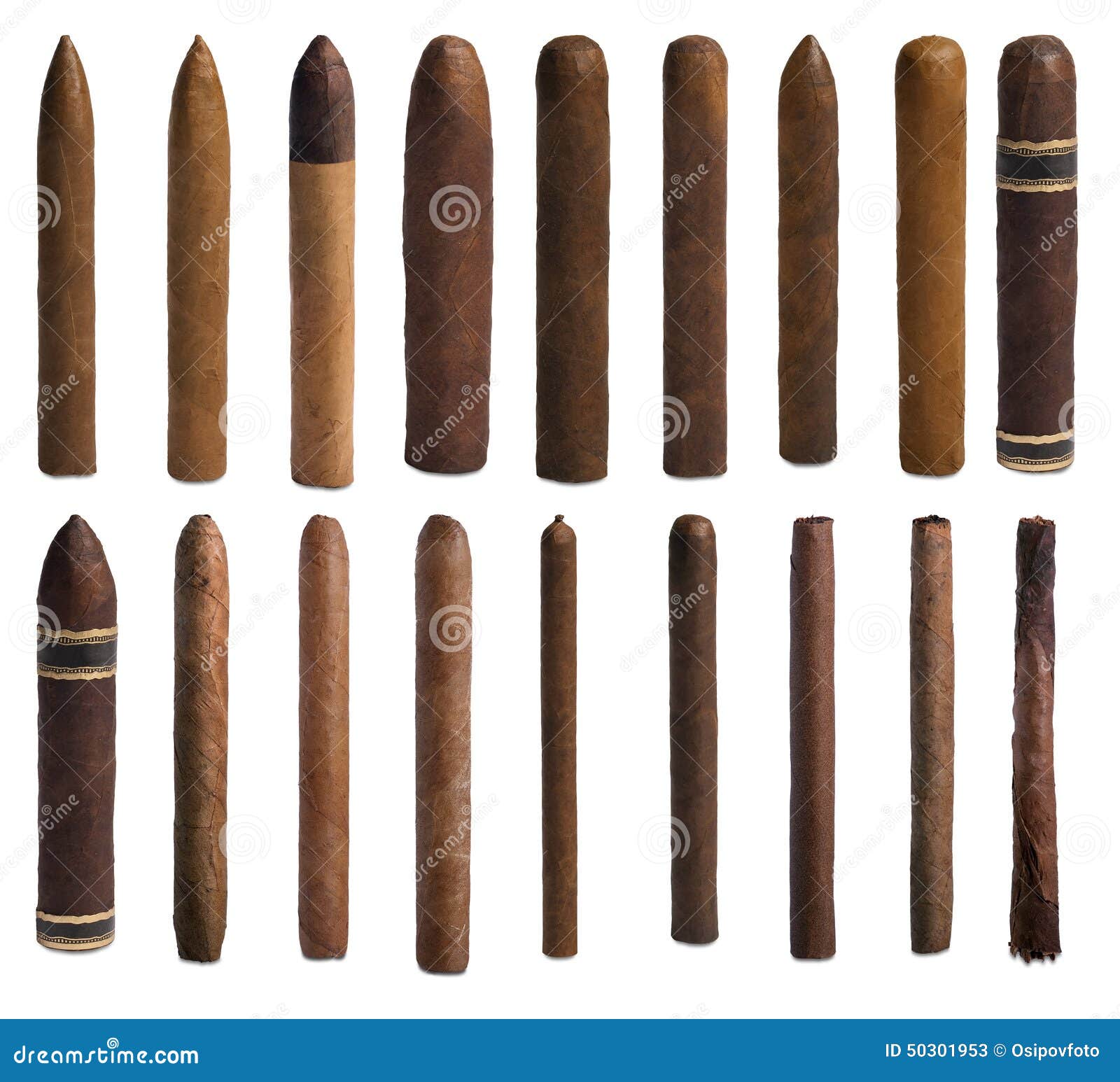 Raccolta Dei Sigari Foto Stock - Download 38 Royalty Free Photos