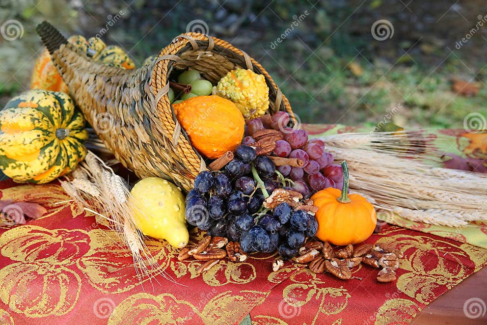 Raccolta del cornucopia immagine stock. Immagine di ringraziamento ...