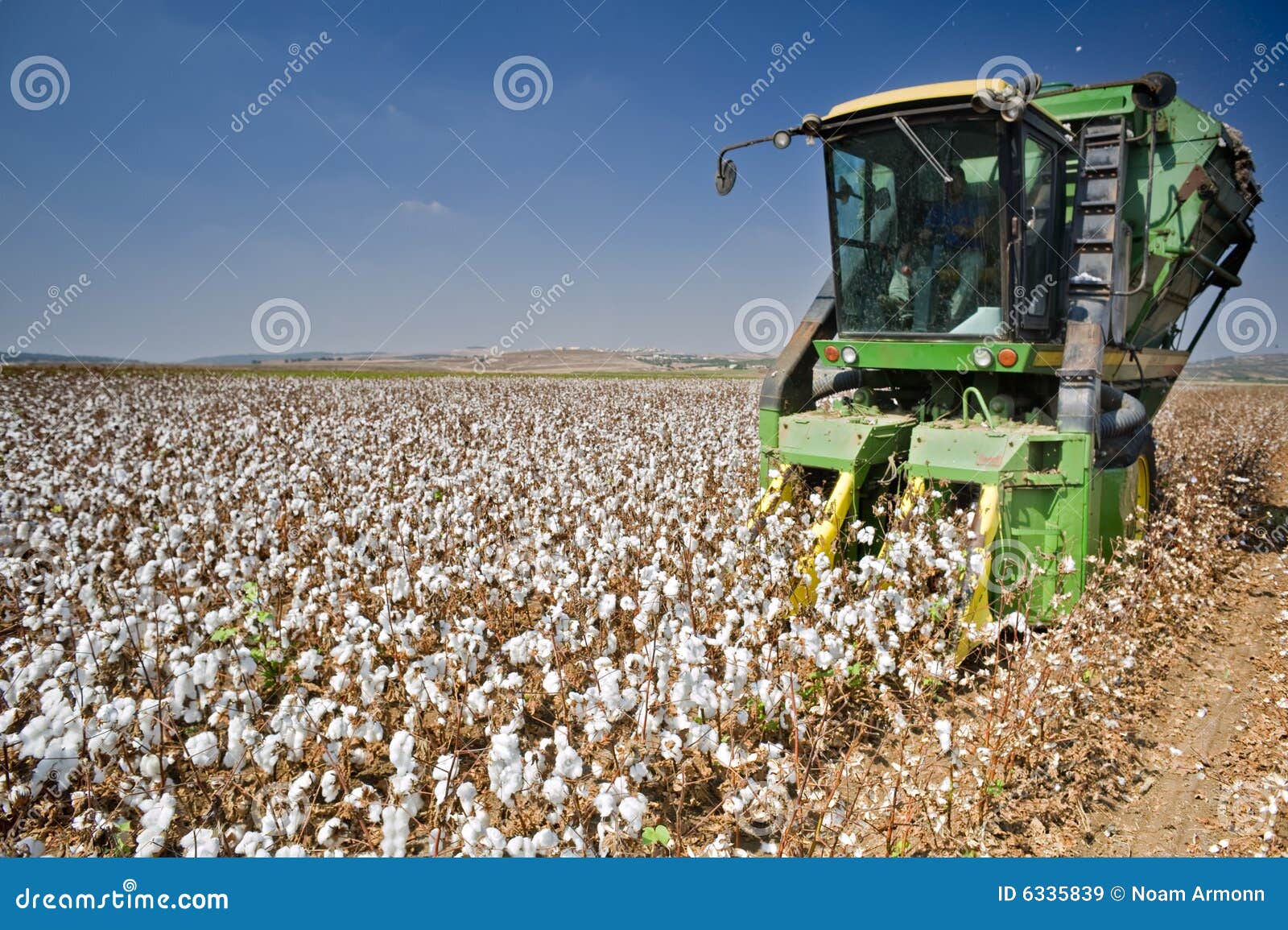 Raccolta del cotone immagine stock. Immagine di campo - 6335839