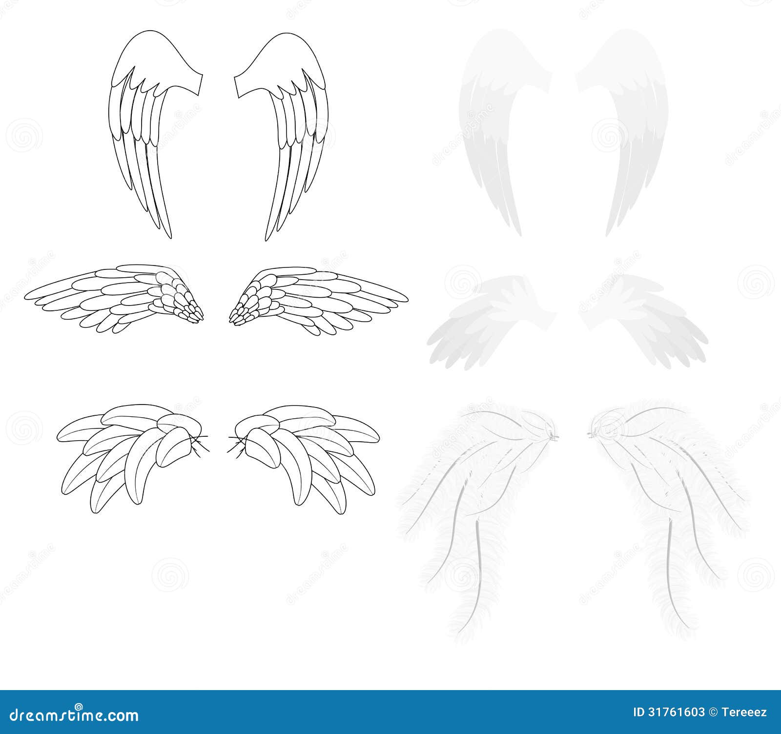 Raccolta Delle Ali Di Angelo Isolate Illustrazione Vettoriale ...