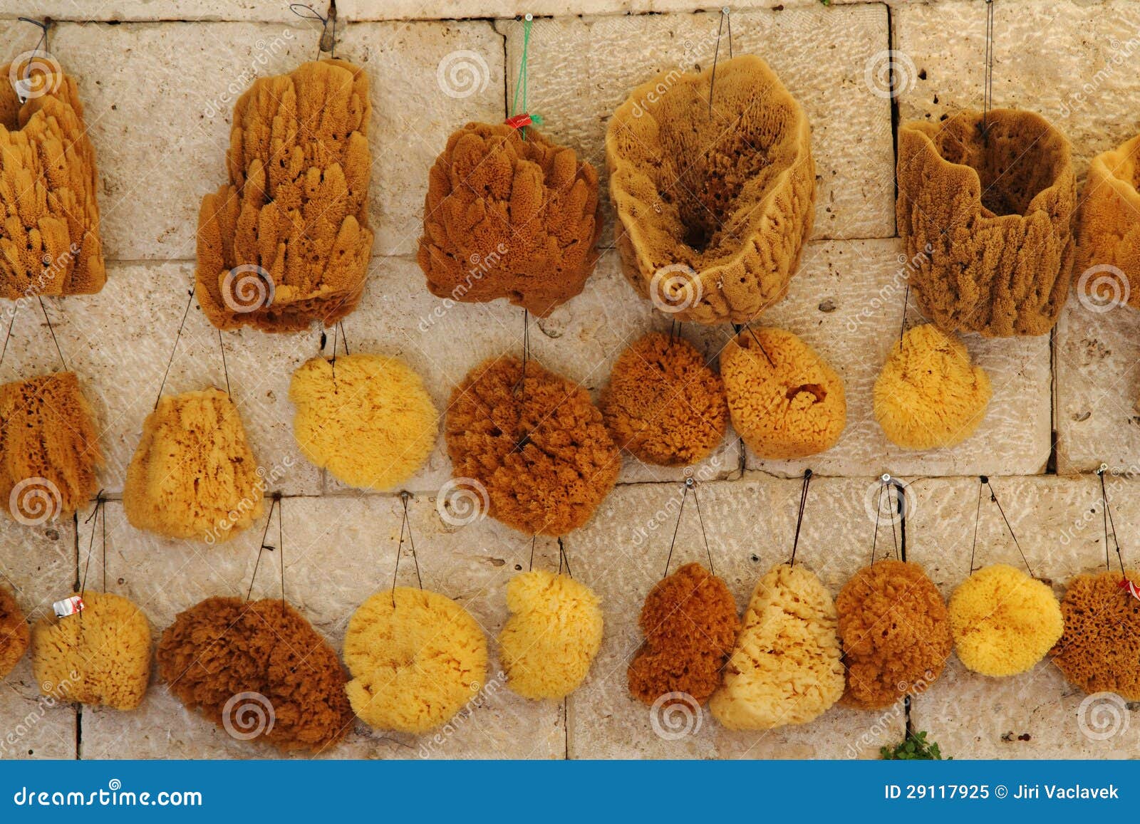 Raccolta Delle Spugne Greche Naturali Immagine Stock - Immagine di ...