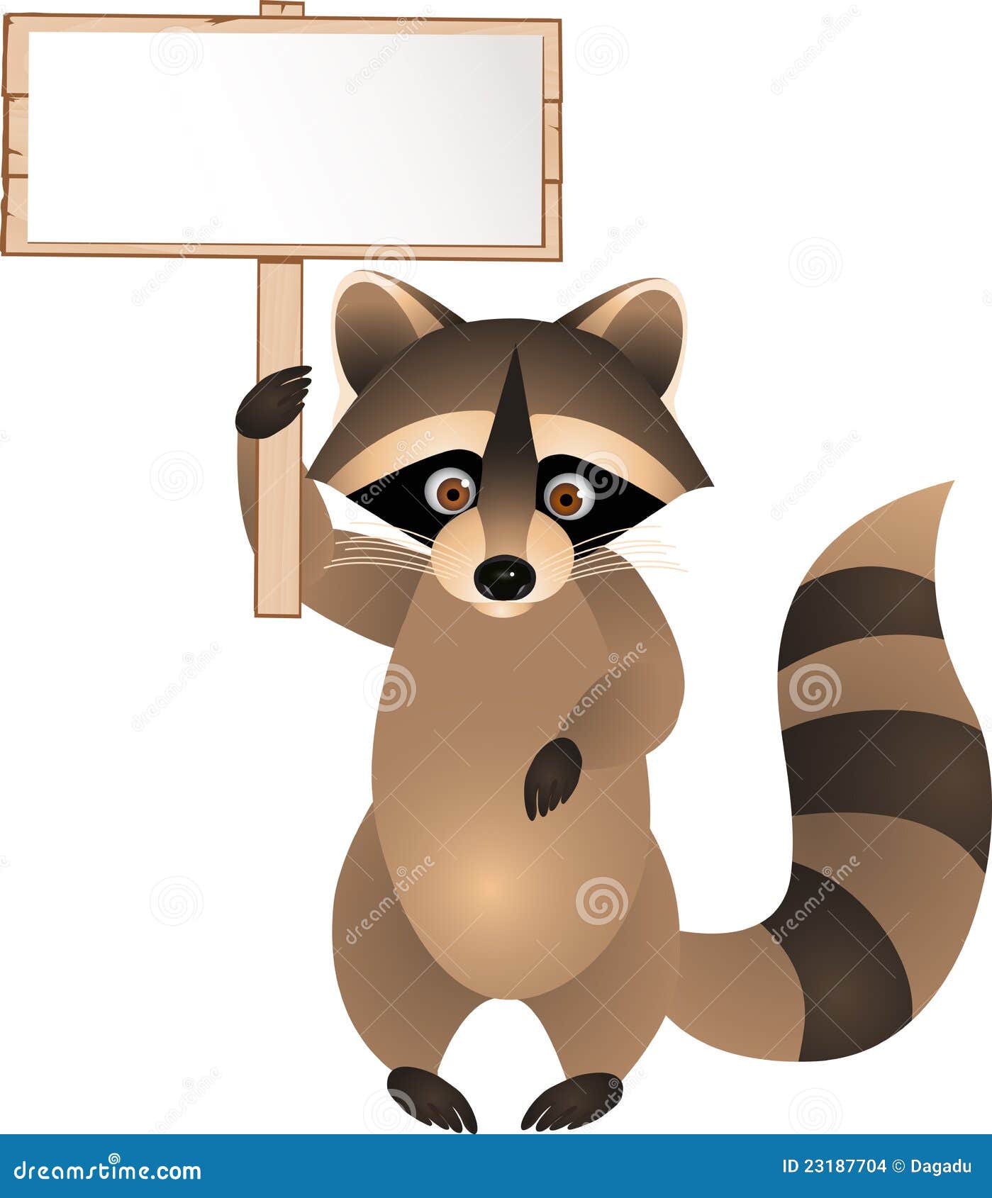Raccoon with blank sign stock vector. Illustration of america - 23187704