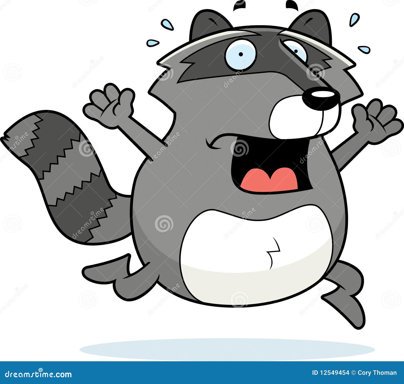 Raccoon Panic stock vector. Illustration of scared, animal - 12549454