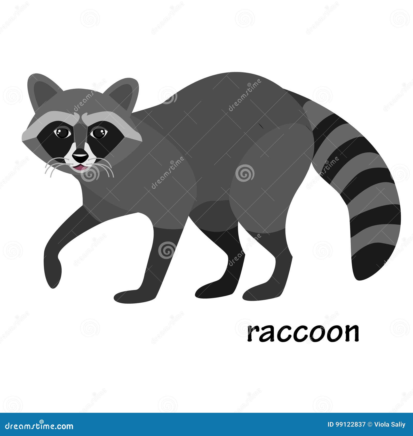 Raccoon stock vector. Illustration of isolated, hand - 99122837