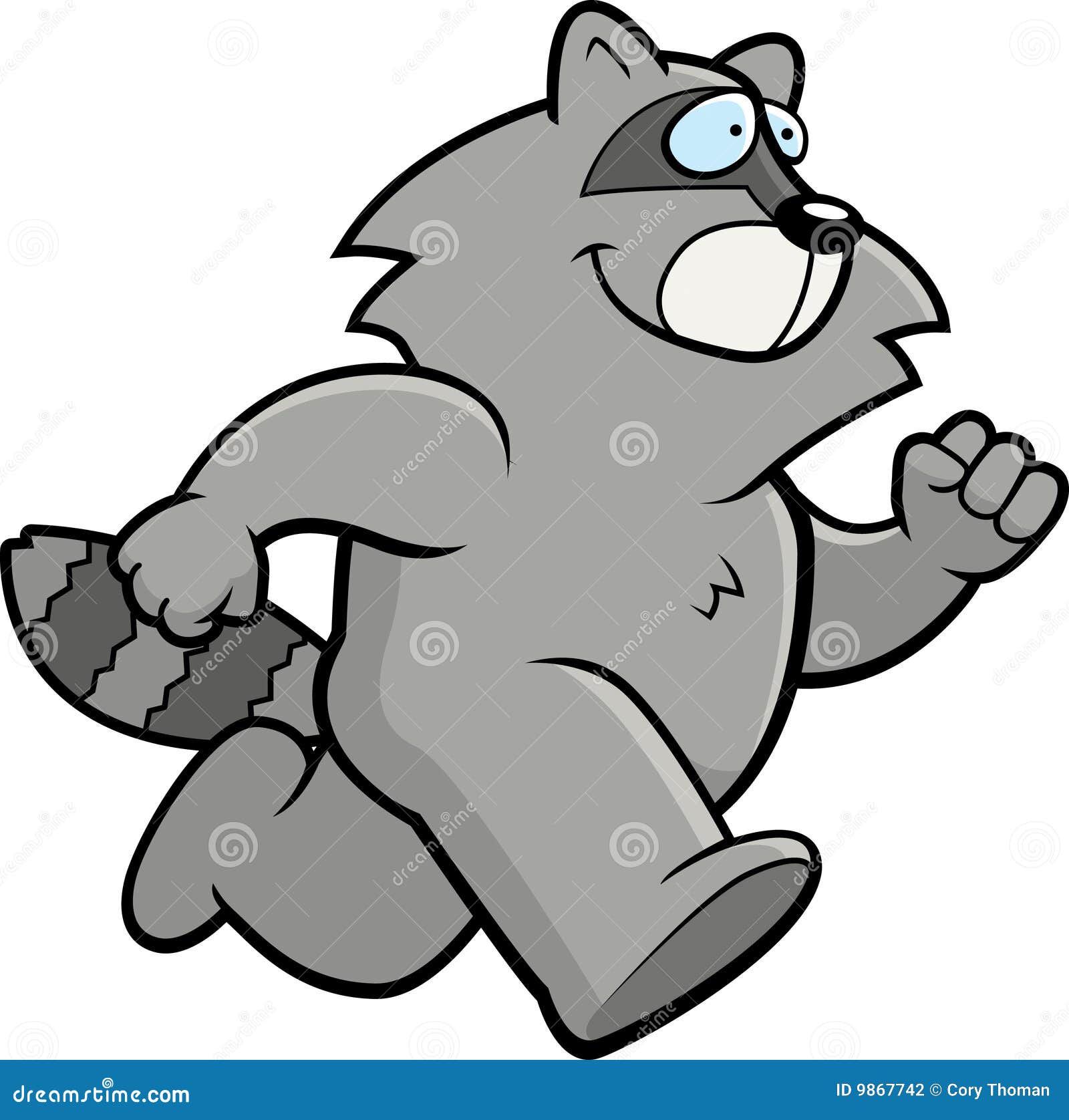 Raccoon Running stock vector. Illustration of wildlife - 9867742