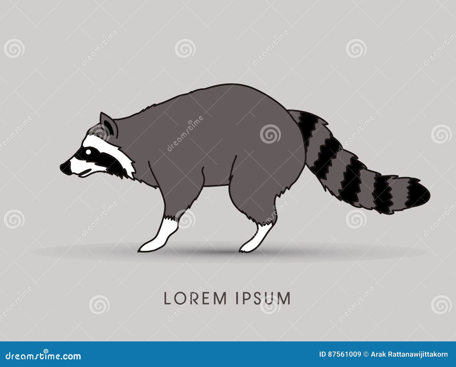 Raccoon side view stock vector. Illustration of design - 87561009