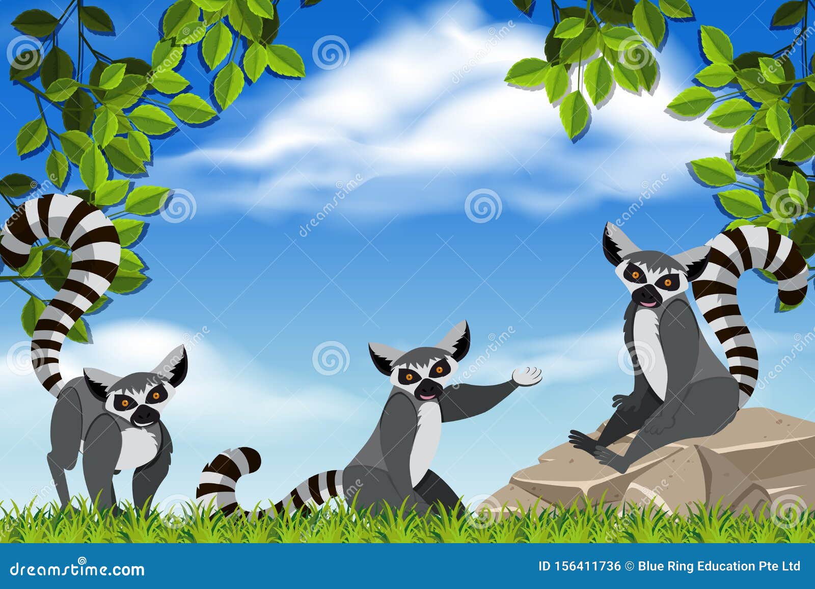 Raccoons in nature scene stock vector. Illustration of green - 156411736