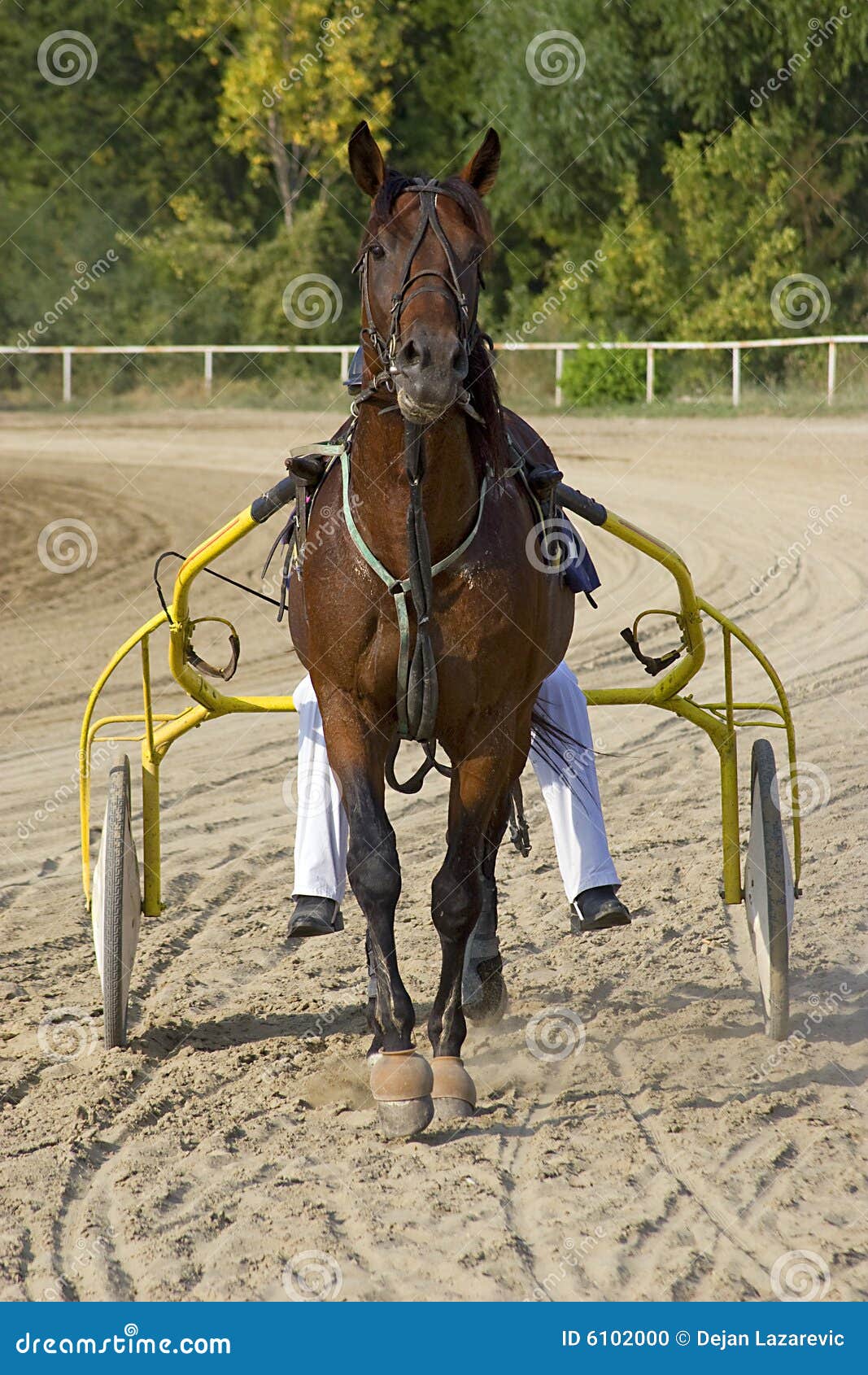 Race Carriage Picture. Image: 6102000