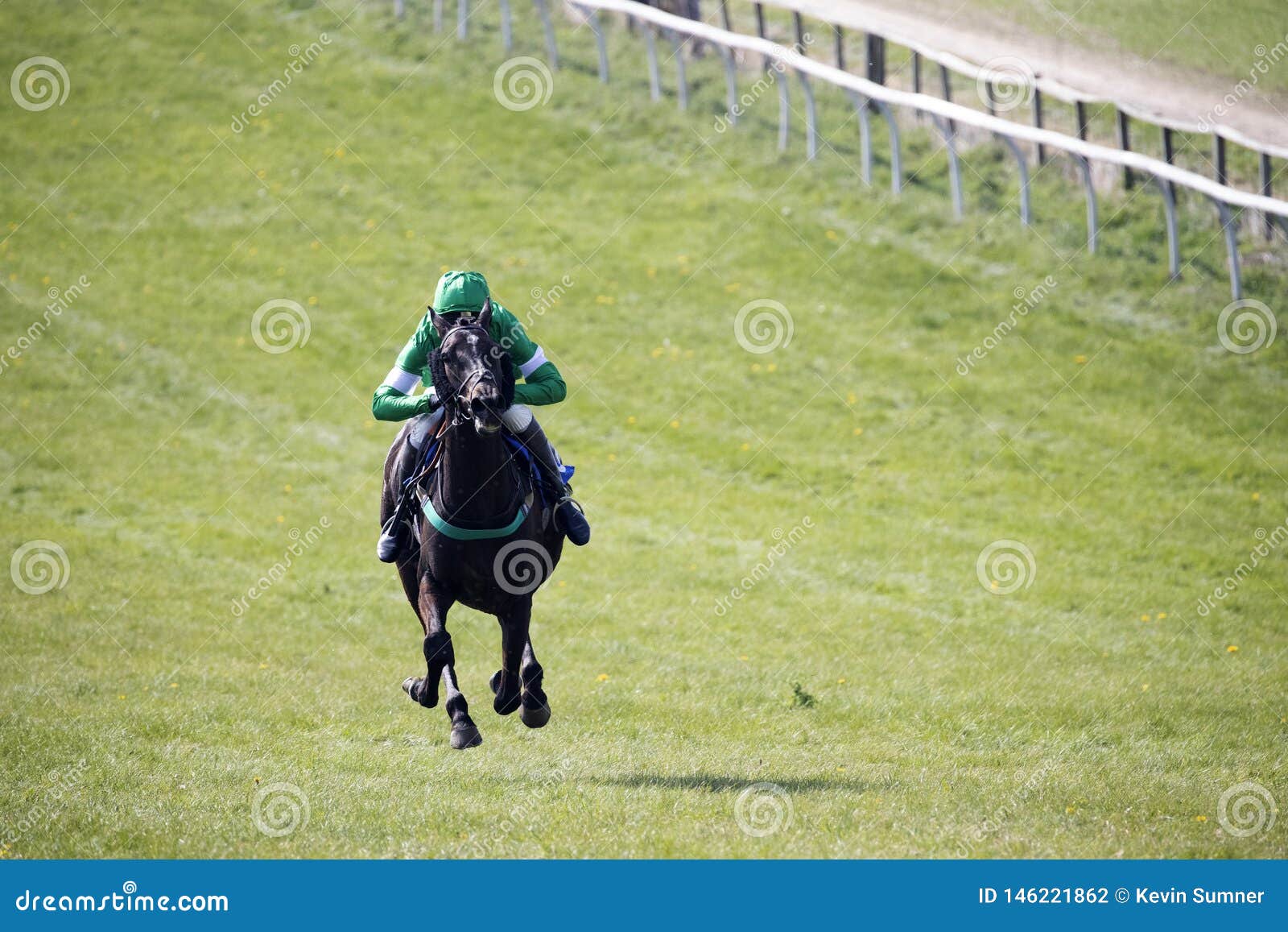 Race Horse Galloping Down Course Stock Photo - Image of turf, jockey ...
