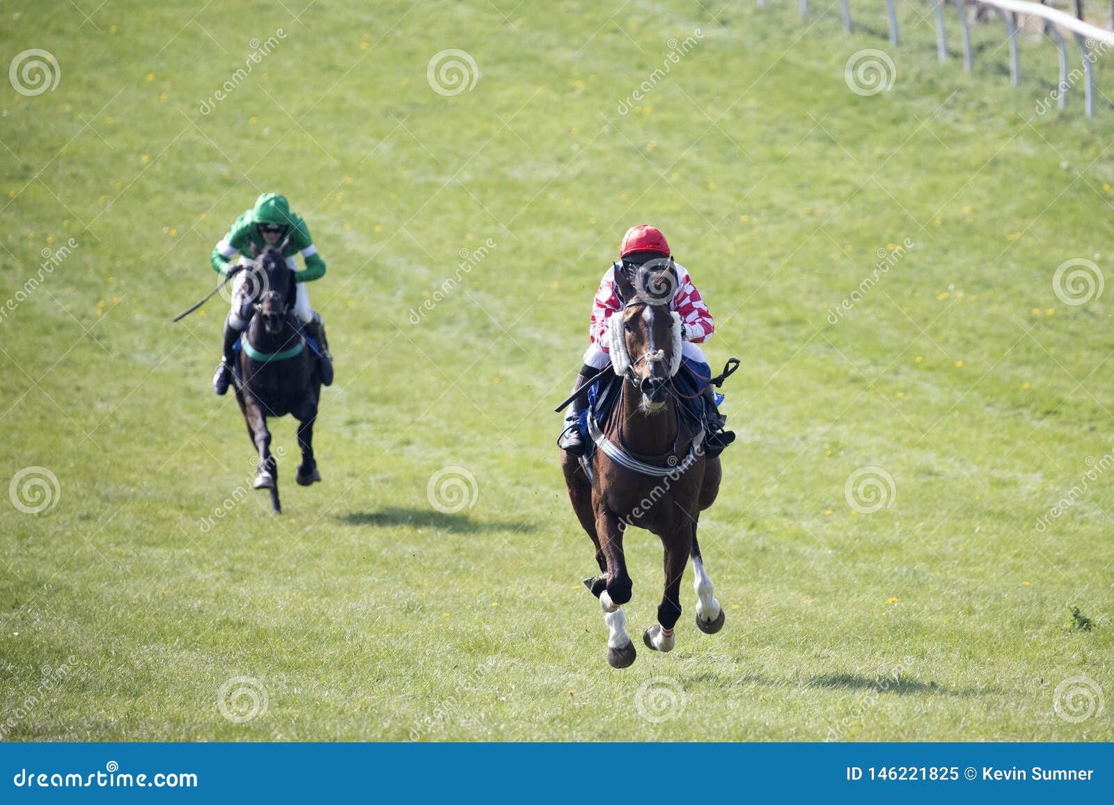 Race Horse Galloping Down Course Stock Image - Image of competition ...