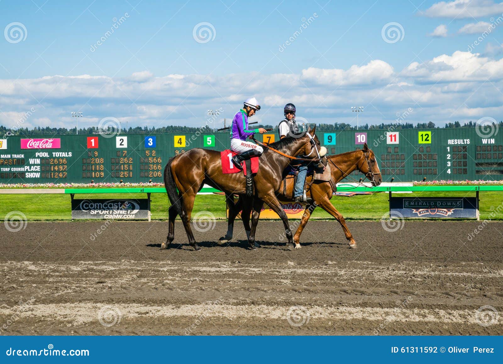 Race Horse on Track Heading Toward Start Gate Editorial Photography ...