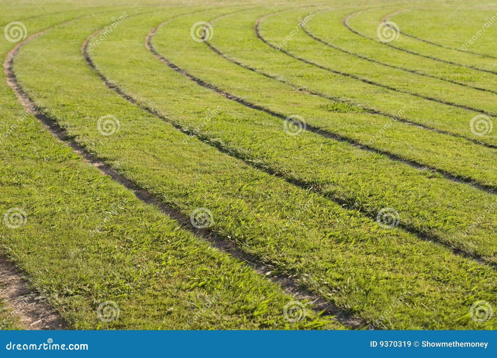 Race track stock image. Image of playing, racetrack, grass - 9370319