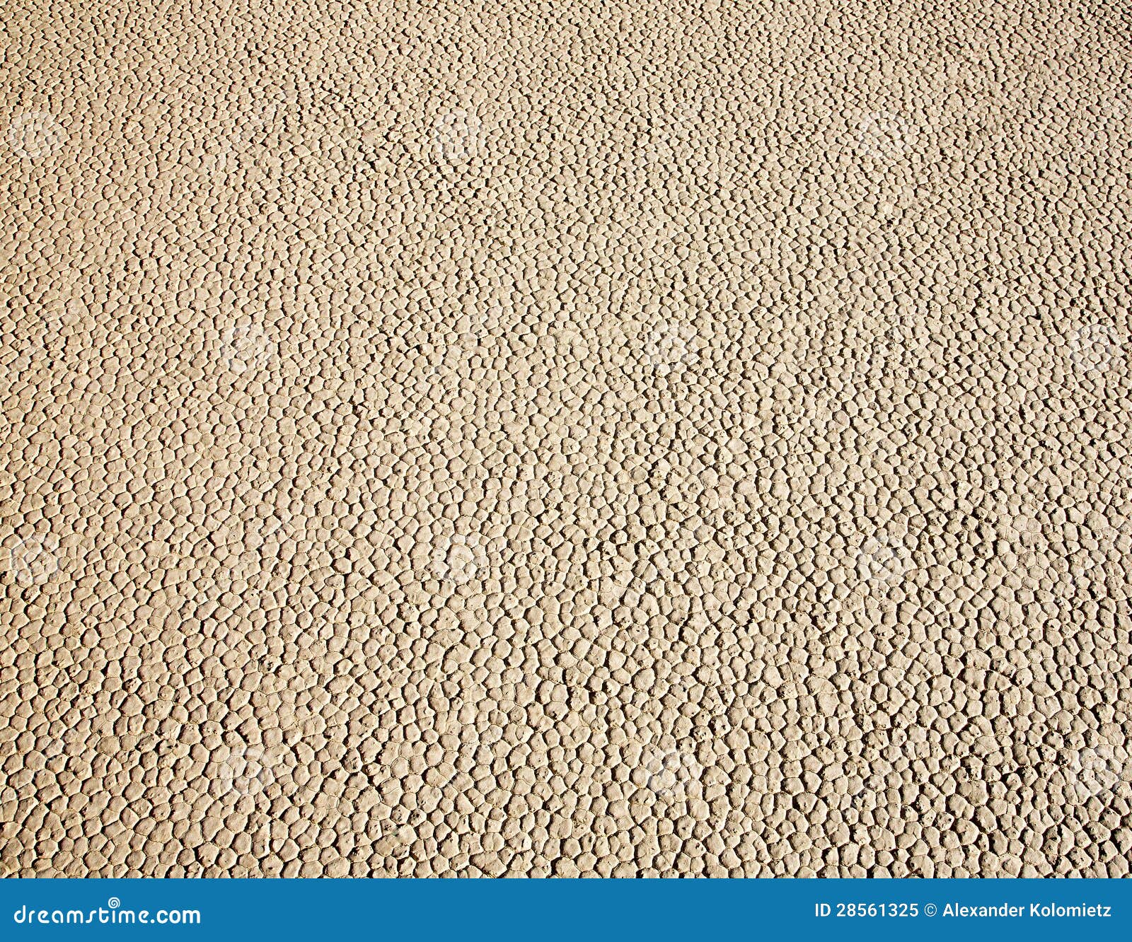 Race Track Texture Royalty-Free Stock Photography | CartoonDealer.com ...