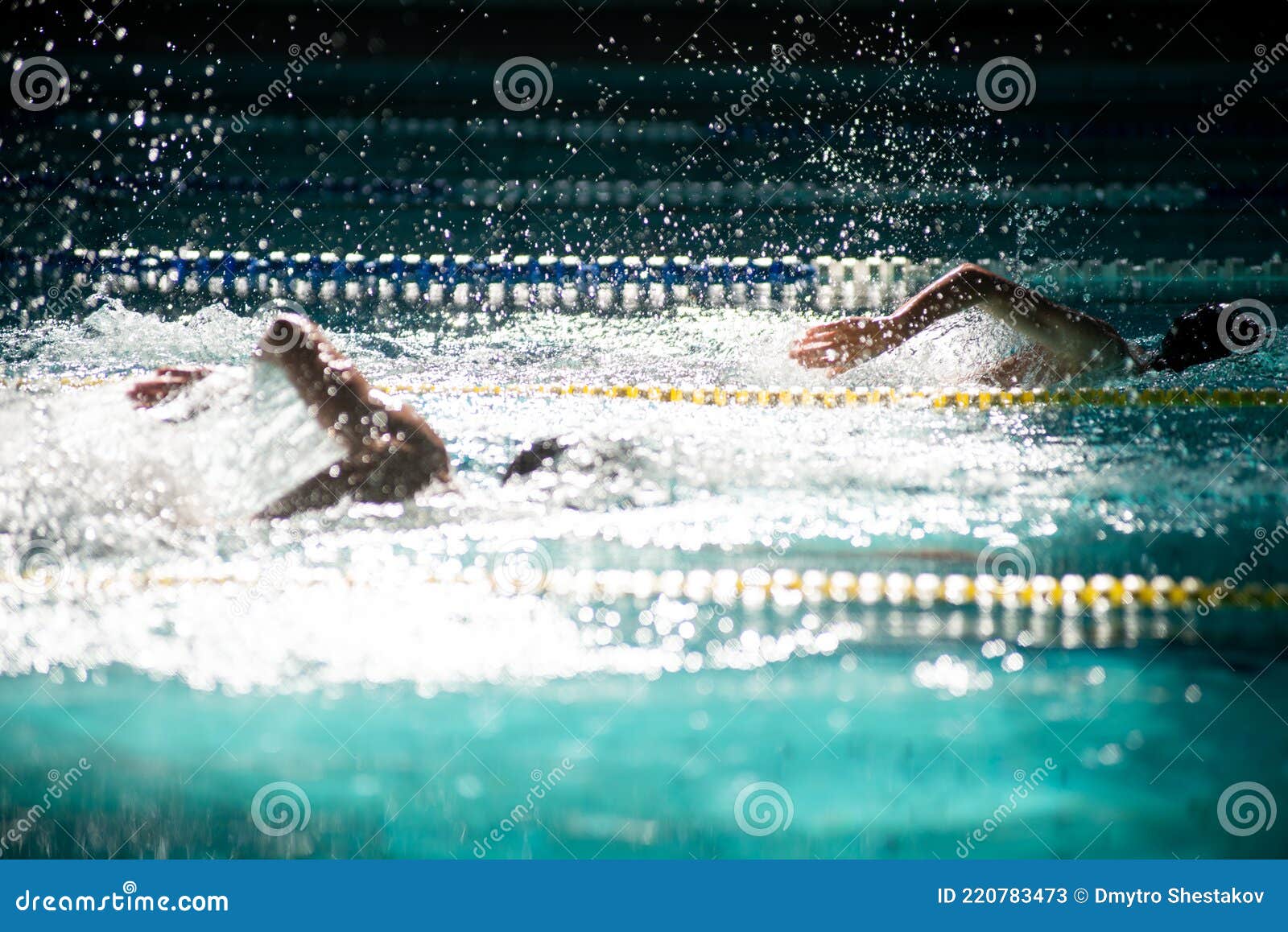 Race of Two Freestyle Swimmers in the Pool in Beautiful Sunlight Stock ...