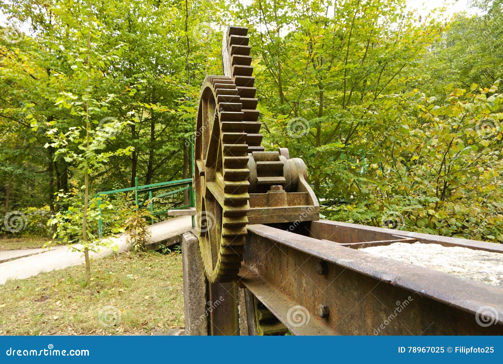 Race and Water Wheel in Forest Stock Image - Image of close, wheels ...