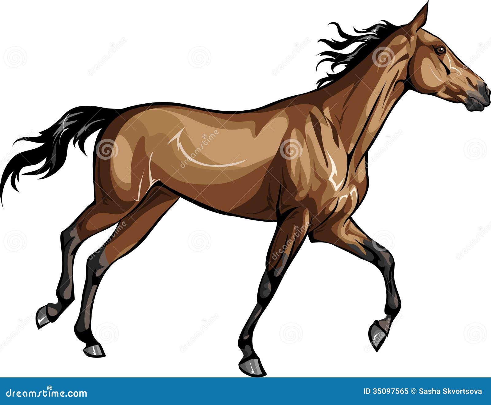 Racehorse stock vector. Illustration of elegant, gallop - 35097565