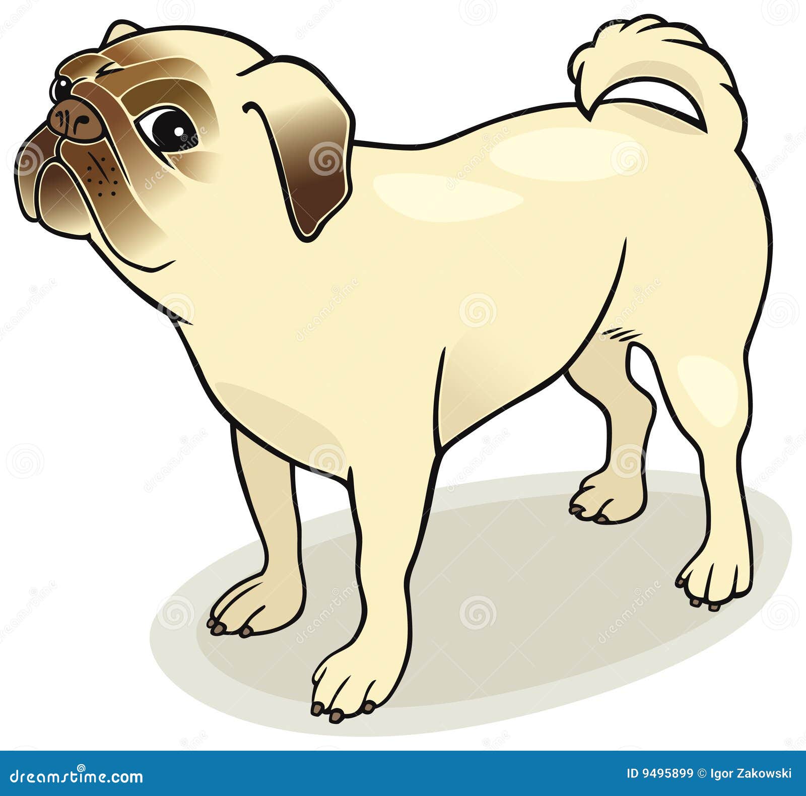 Races de crabot : Roquet illustration de vecteur. Illustration du ...