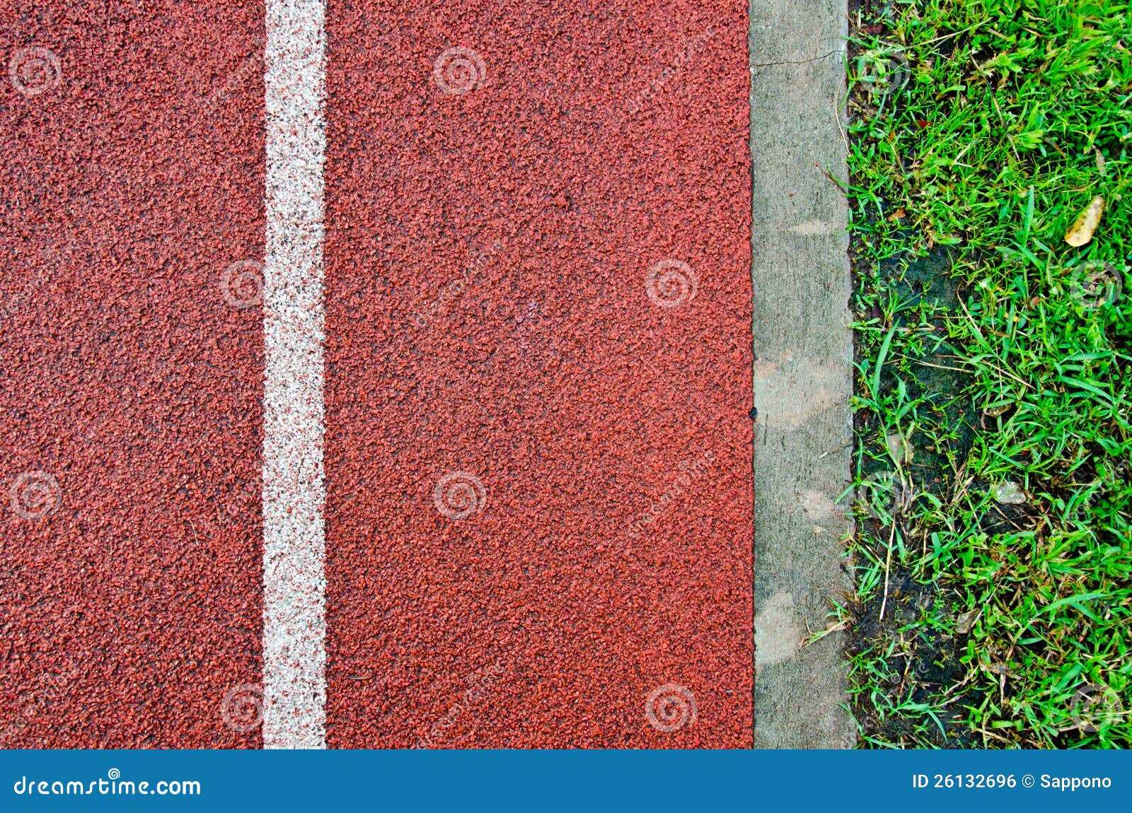 Racetrack with Grassfield stock photo. Image of line - 26132696