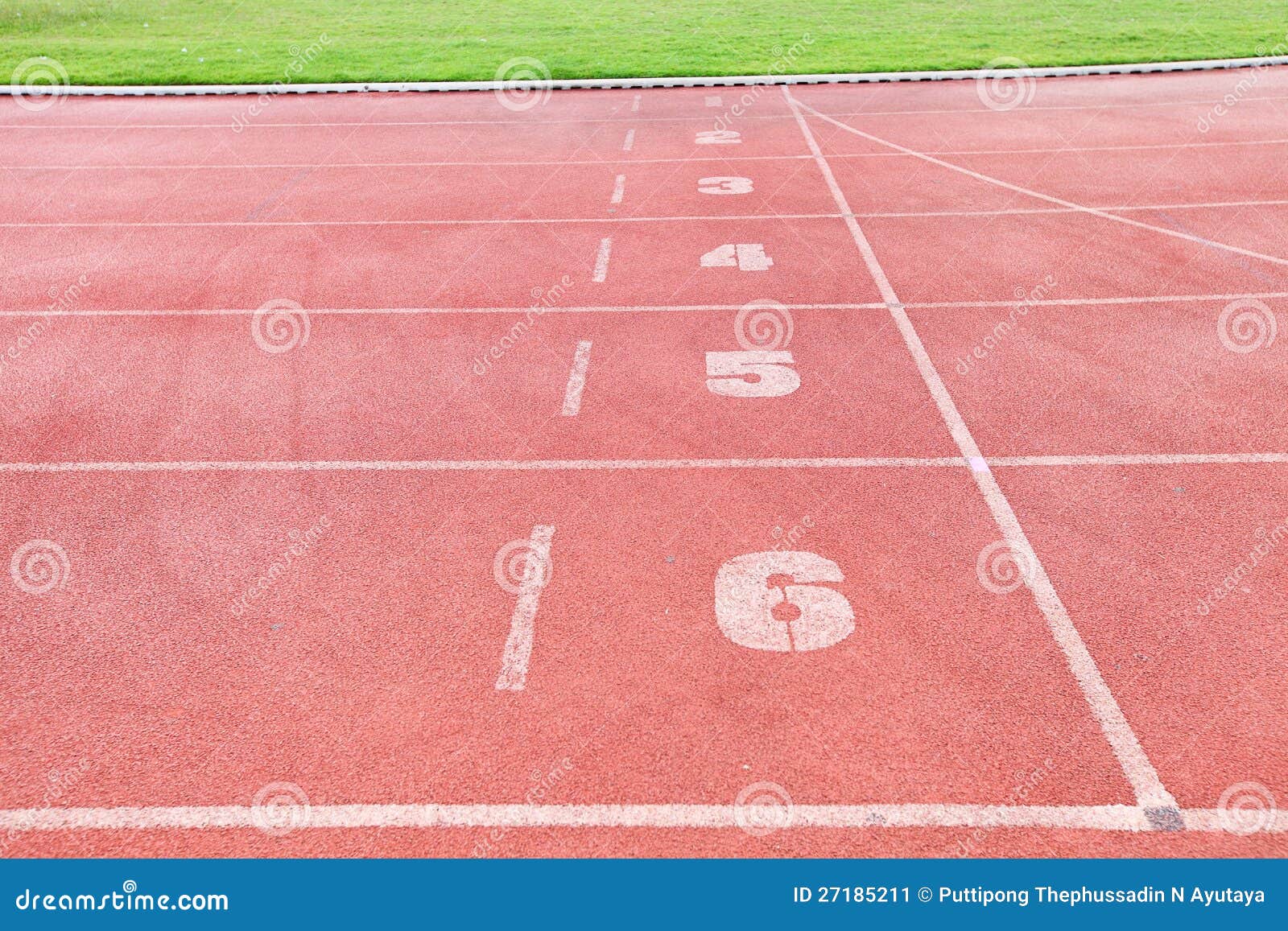 Racetrack in Sport Arena with Grass Stock Image - Image of competition ...
