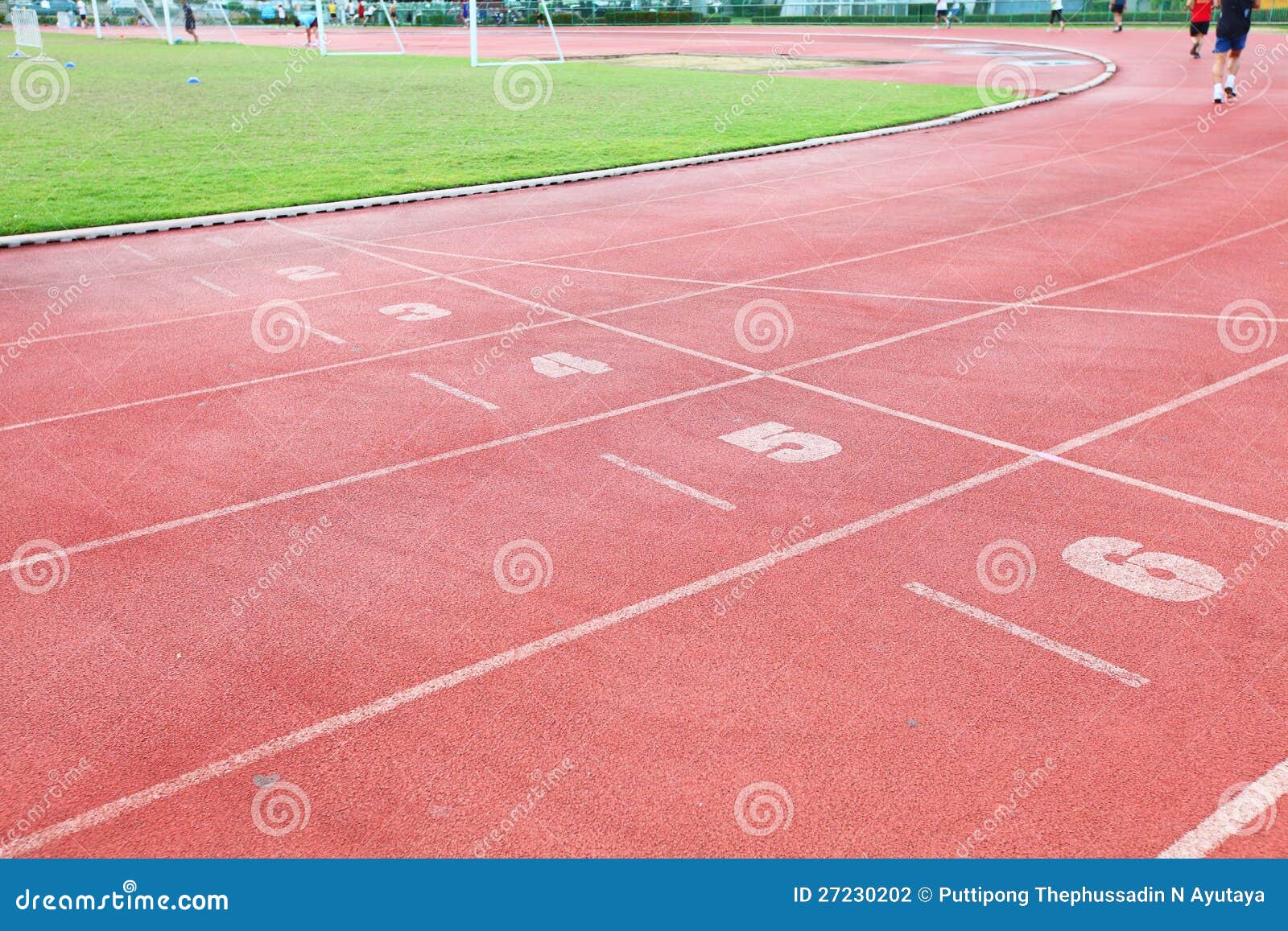 Racetrack in Sport Arena with Grass Stock Photo - Image of gold, line ...