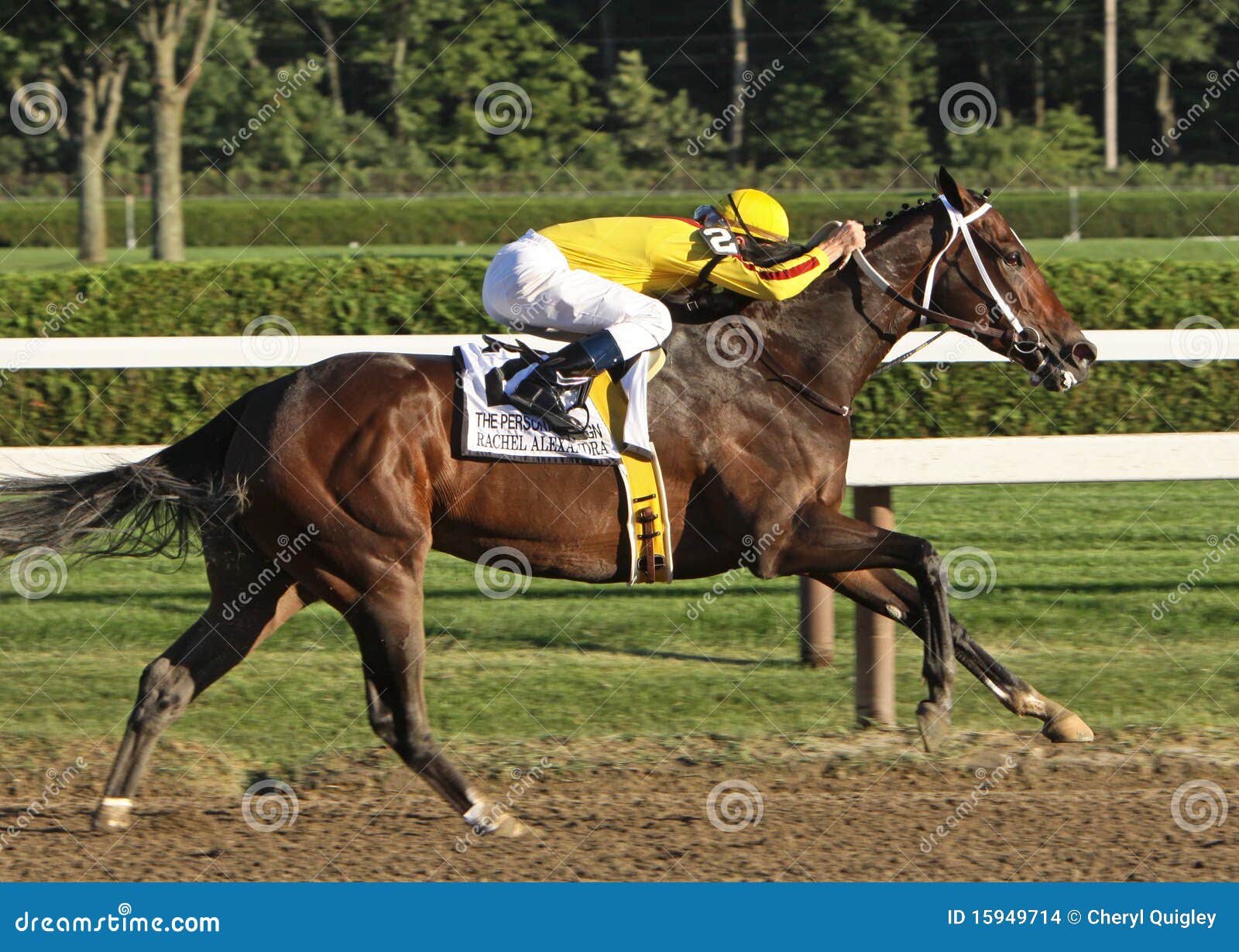 Rachel Alexandra editorial stock image. Image of rider - 15949714