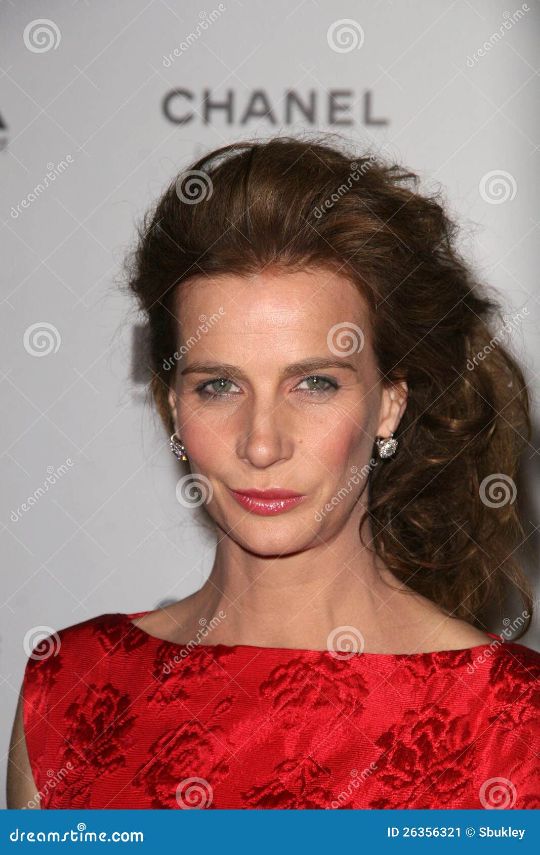 Rachel Griffiths editorial photo. Image of museum, griffiths - 26356321