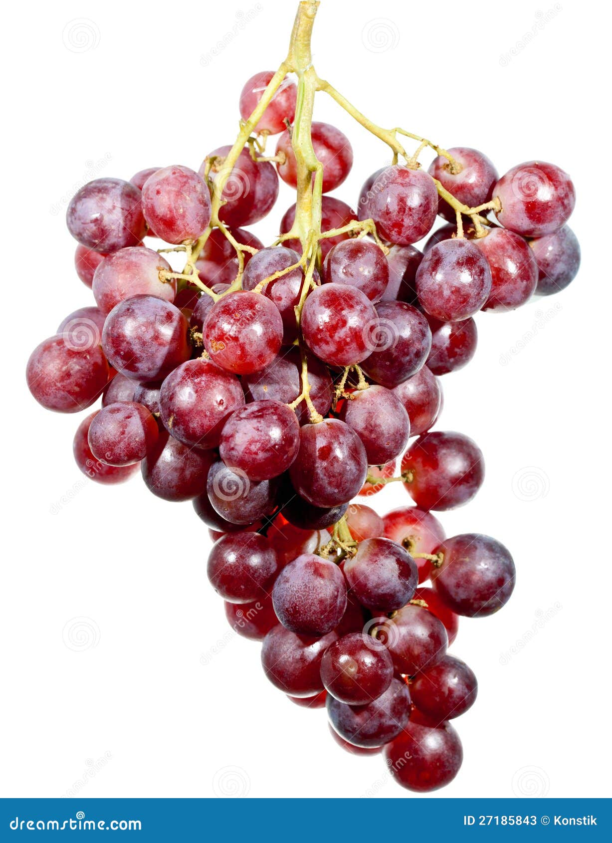 Racimo de las uvas imagen de archivo. Imagen de baya - 27185843