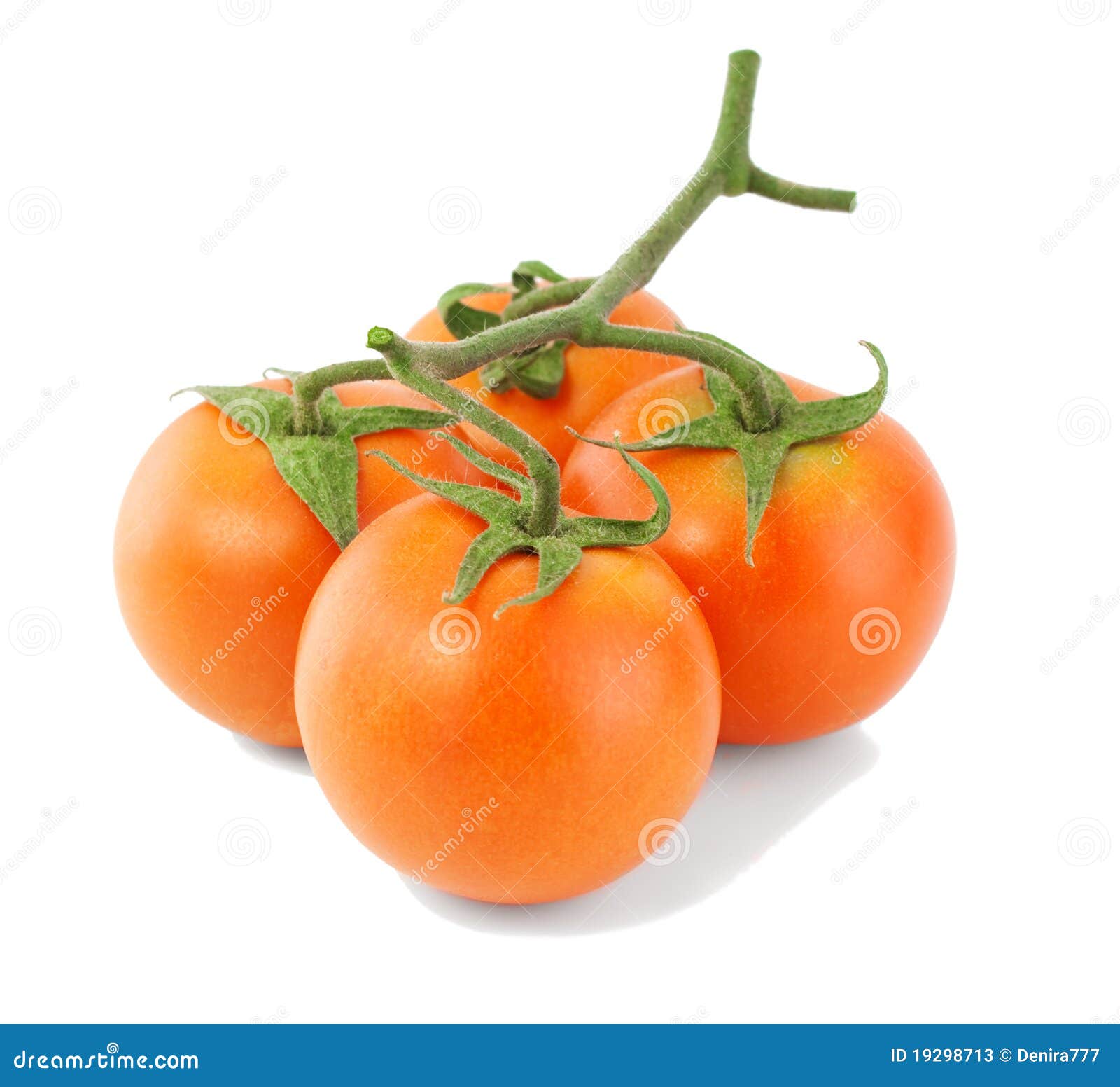 Racimo de tomates rojos imagen de archivo. Imagen de verde - 19298713