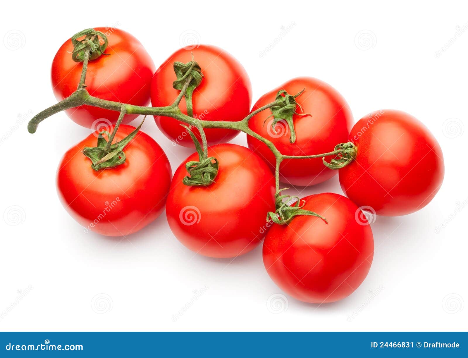 Racimo del tomate imagen de archivo. Imagen de tomate - 24466831