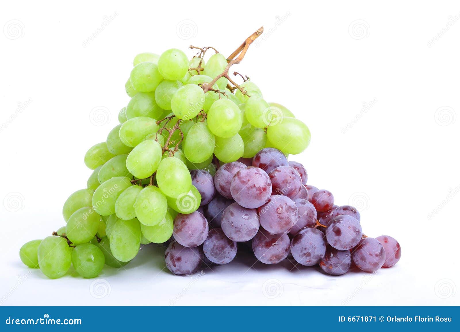 Racimos de uvas en blanco imagen de archivo. Imagen de fruta - 6671871