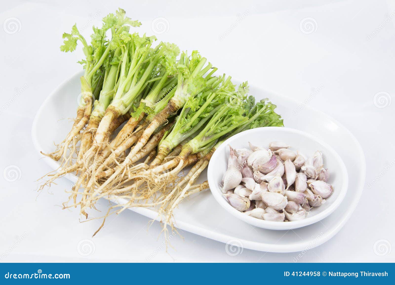 Racine de persil et d'ail photo stock. Image du tête - 41244958