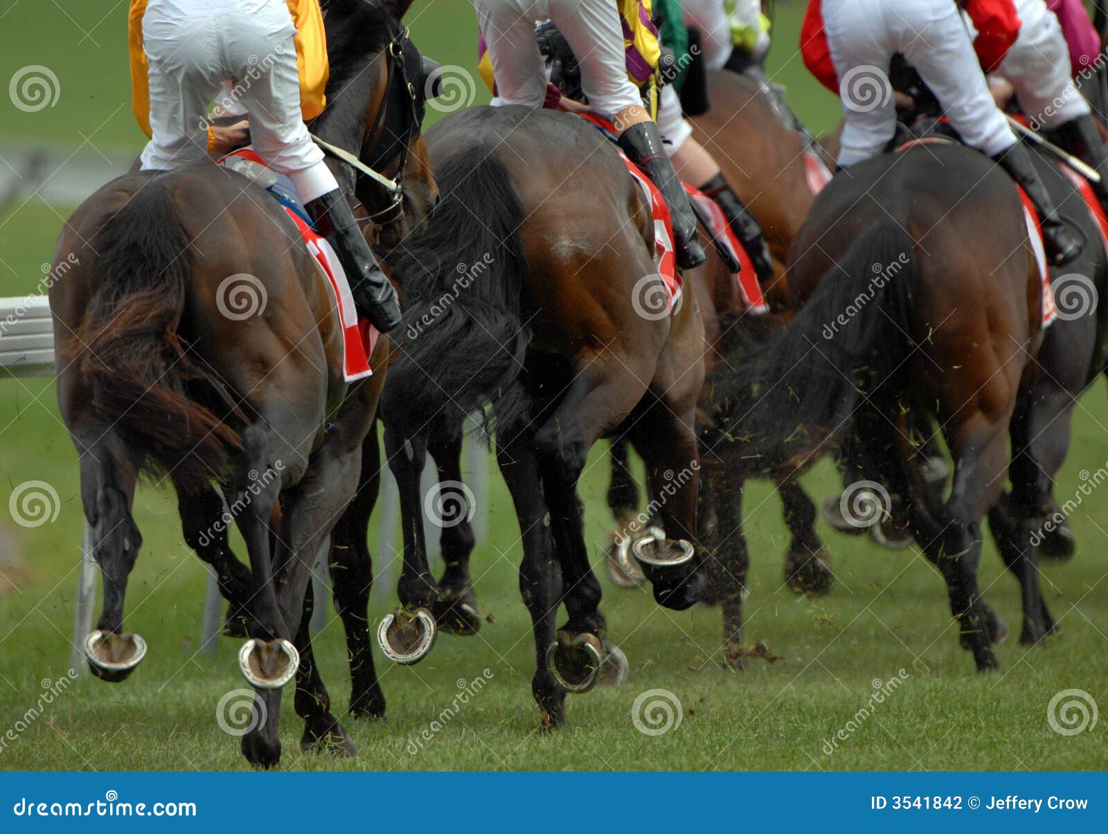 Horse Racing Rear View Stock Photos - Free & Royalty-Free Stock Photos ...