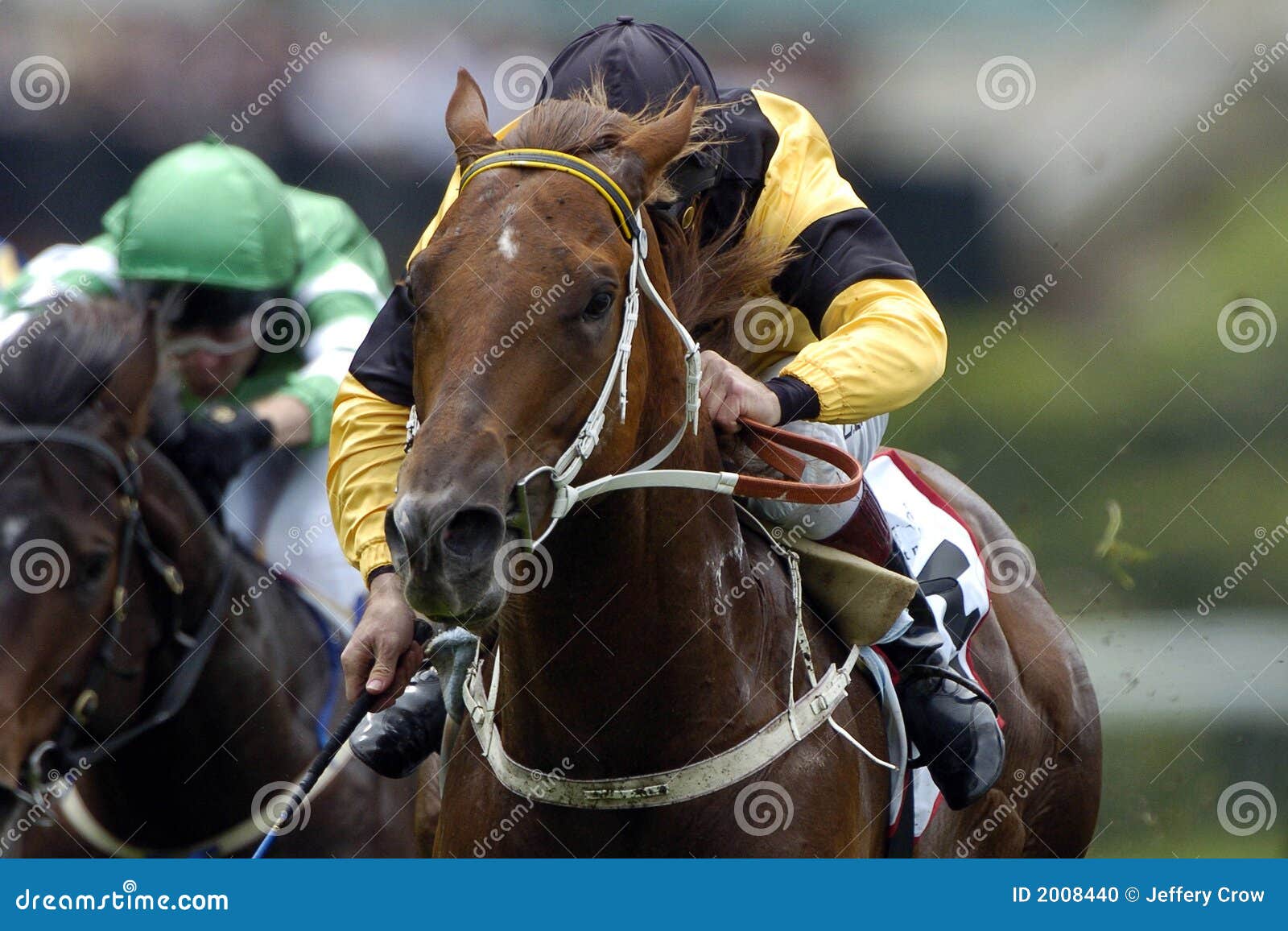 Racing 05 stock photo. Image of excitement, racing, action - 2008440