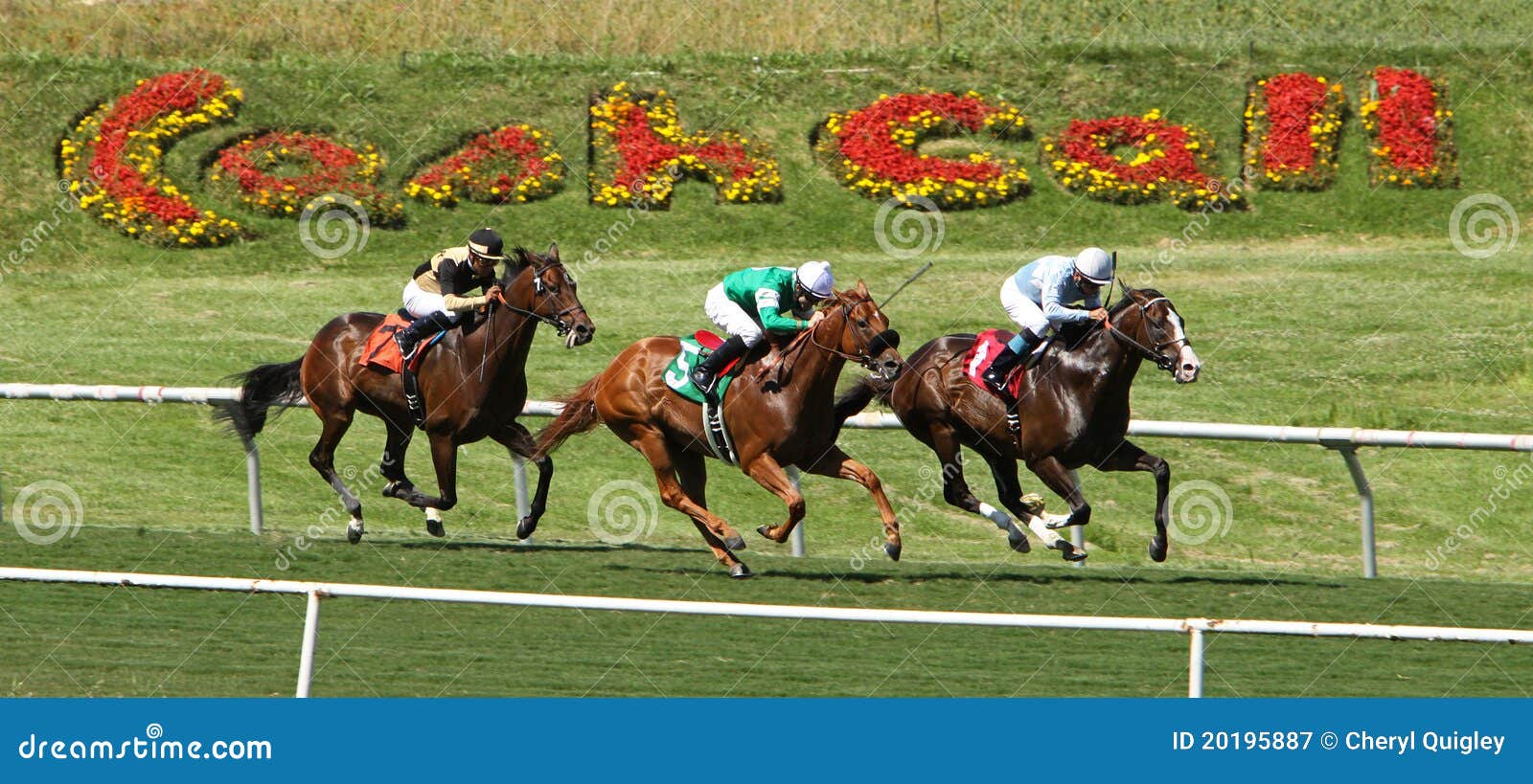 Racing Down a Beautiful Grass Track Editorial Photography - Image of ...
