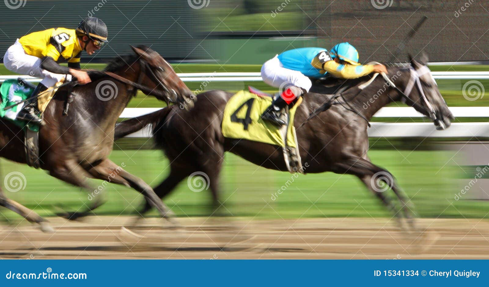 Racing Down the Homestretch Editorial Stock Image - Image of action ...