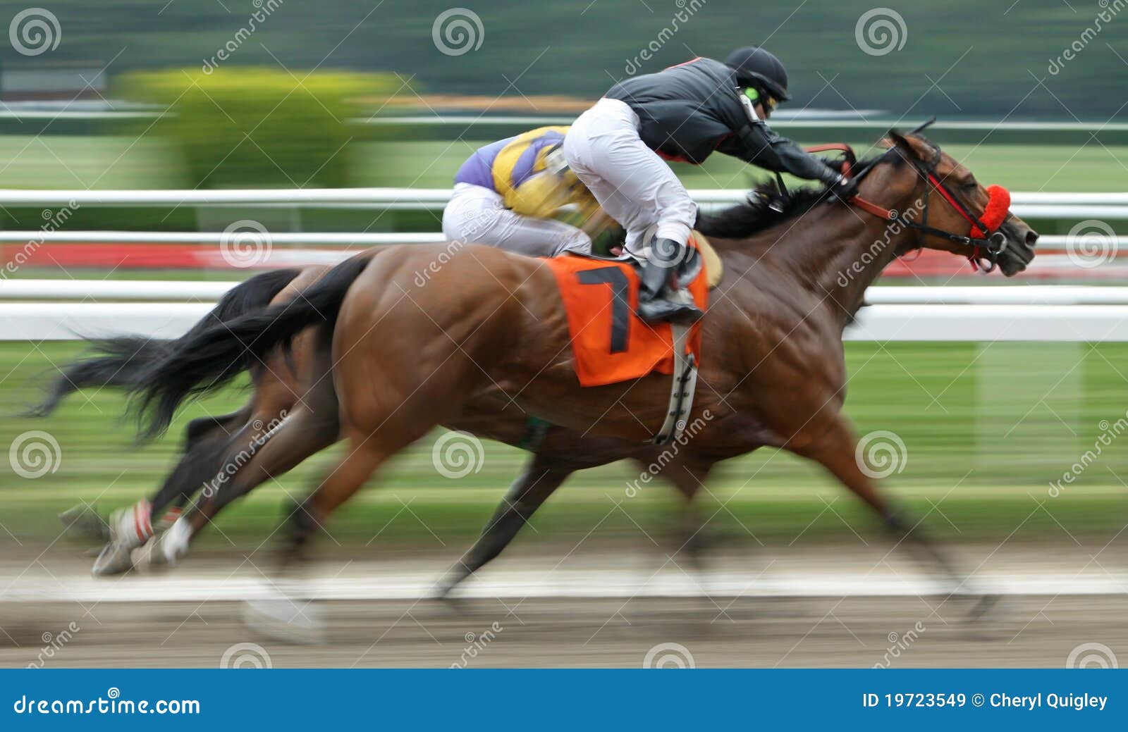 Racing Down the Homestretch Editorial Stock Image - Image of triple ...