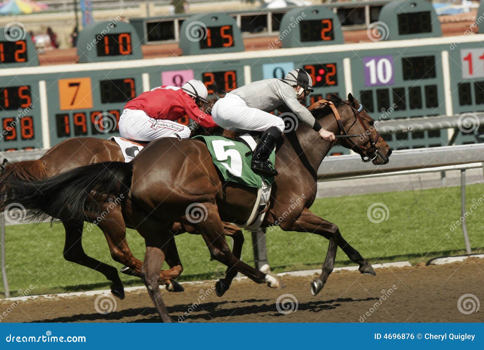 Racing Down the Homestretch Editorial Photo - Image of rider, rival ...